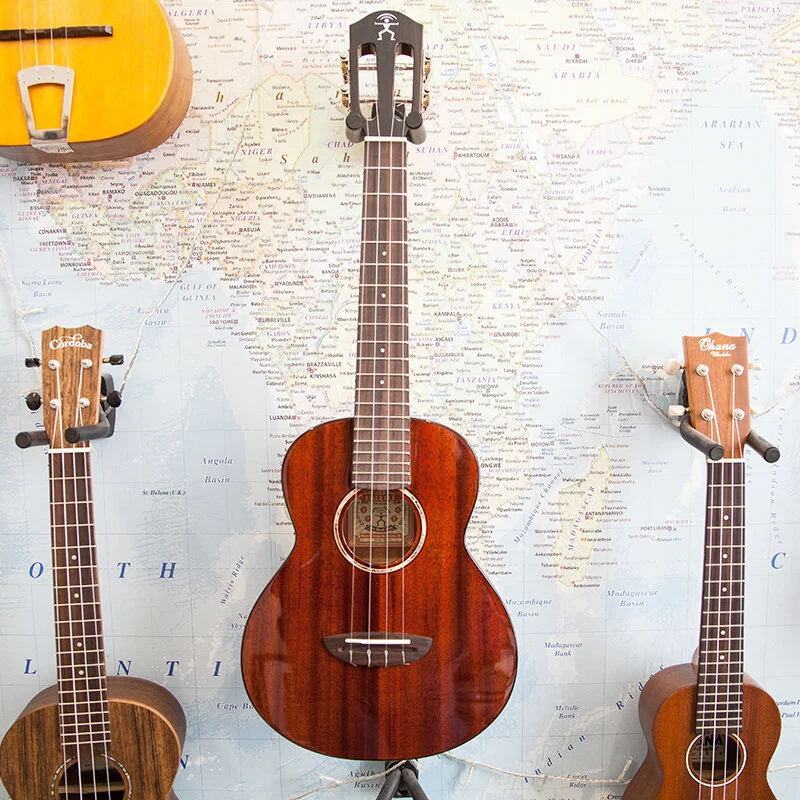 aNueNue Black Whale E All Solid Maple, Cedar and Rosewood Tenor Electro ...