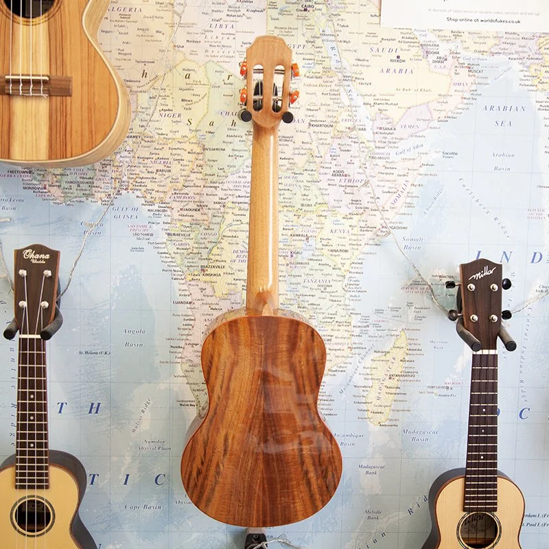 Snail S60T All Solid Acacia Tenor Ukulele — World of Ukes