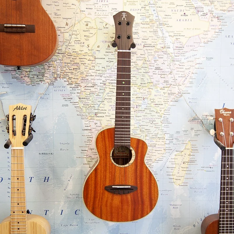 aNueNue UC-110 Green Bird All Solid Mahogany Concert Ukulele — World of ...