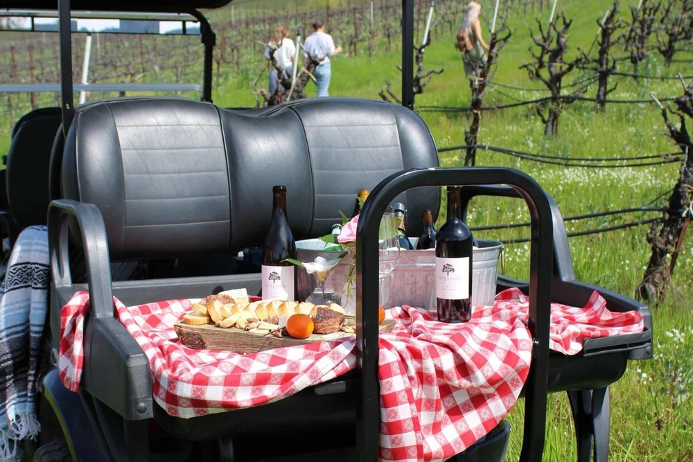 Calendar — Campovida