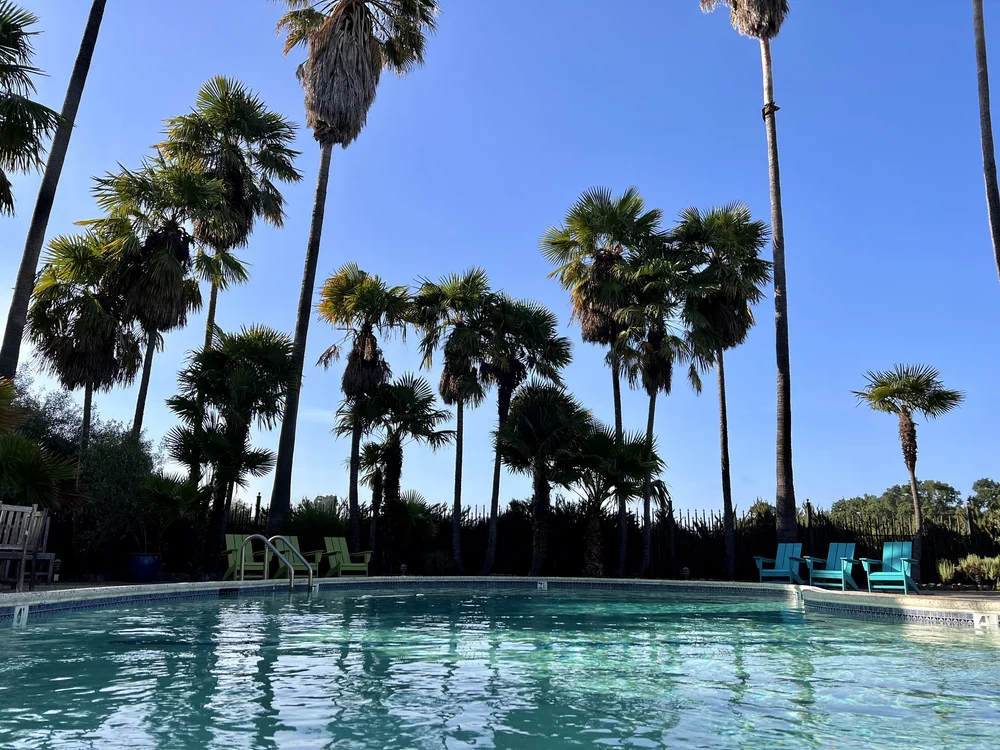 Upcoming — Campovida