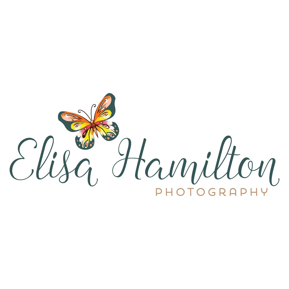 Butterfly Logo Name