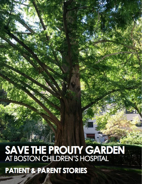 Stories — Save the Prouty Garden
