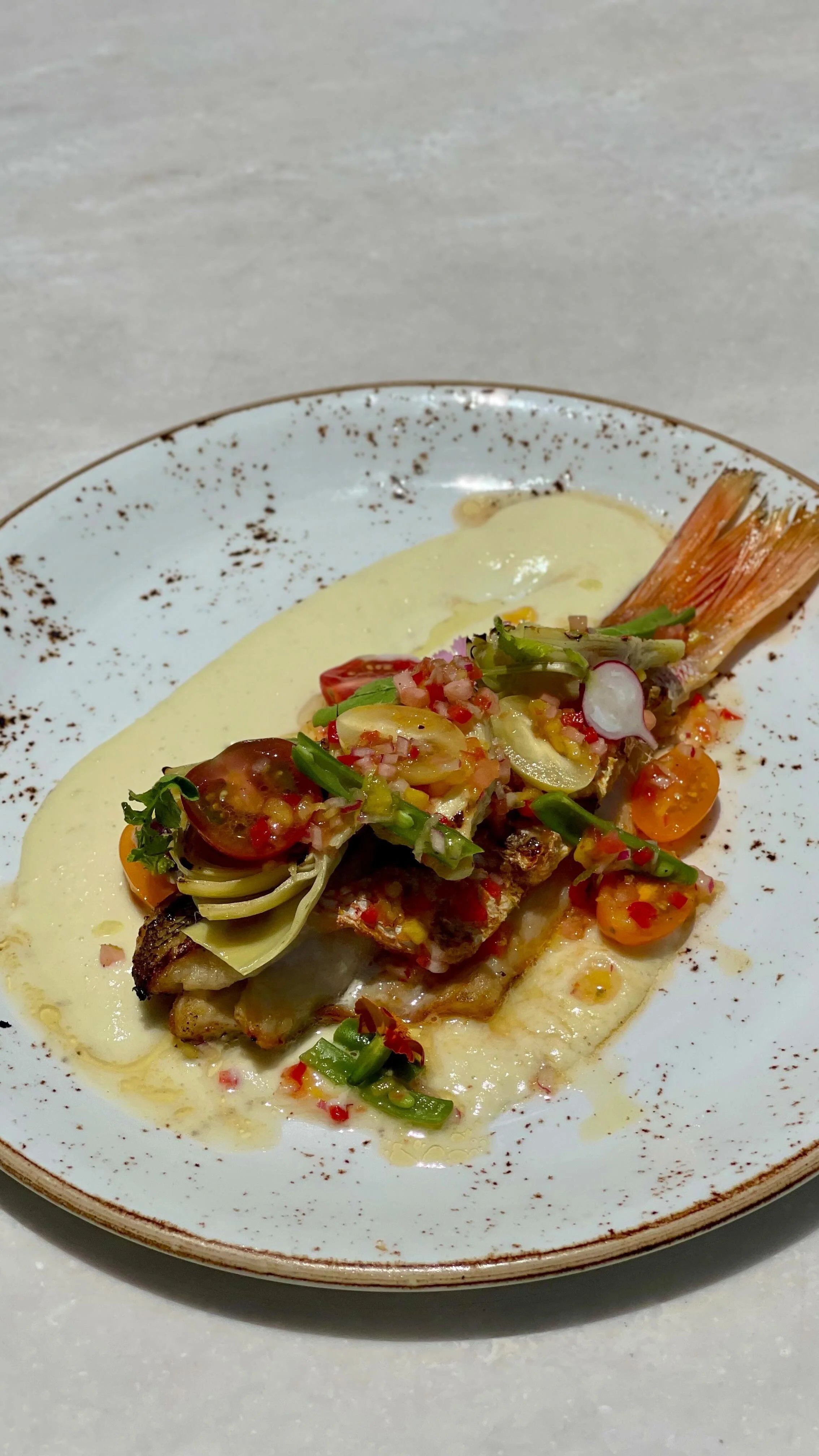 HISTORY — BiCE Naples