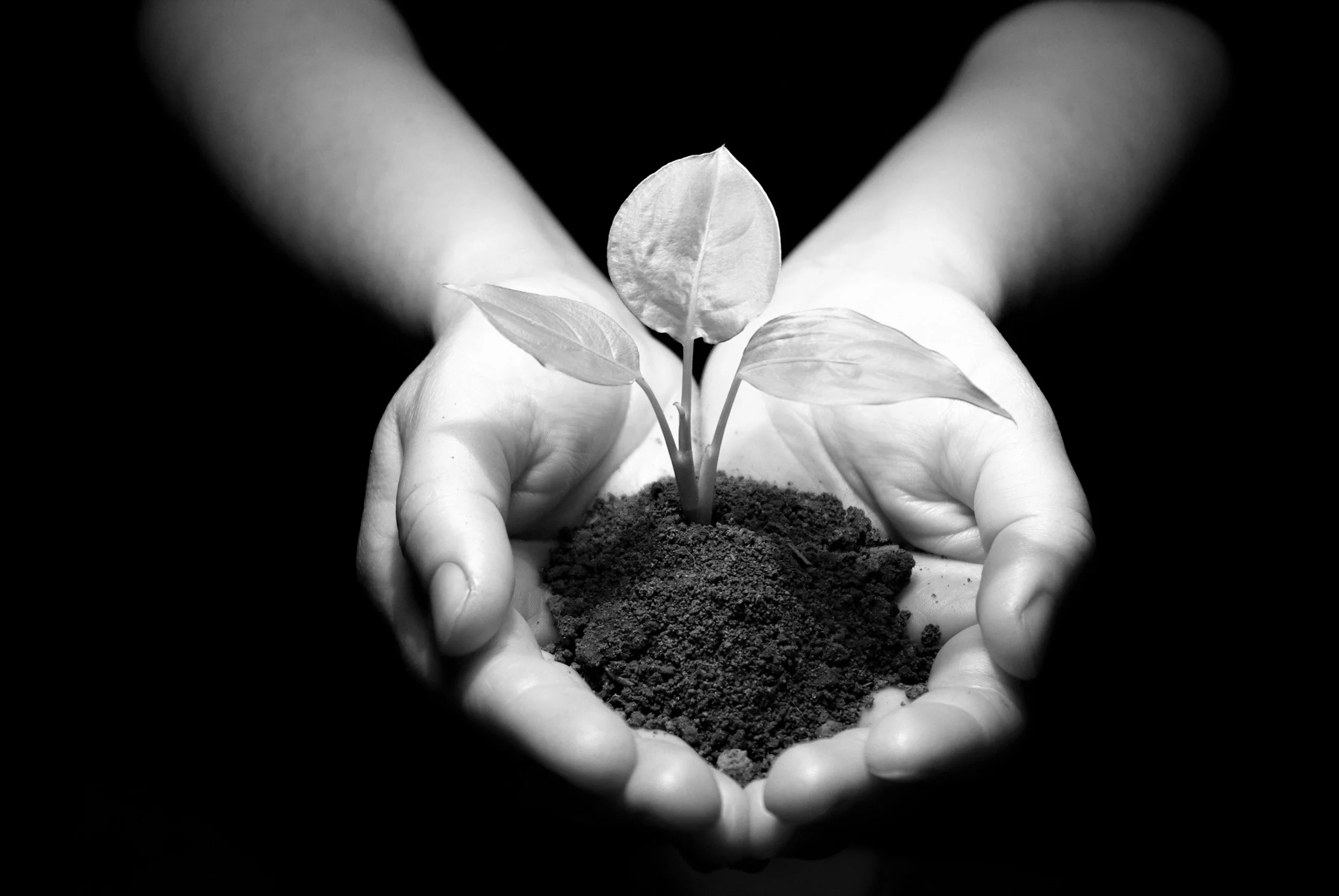 AIR, Votre second souffle RH