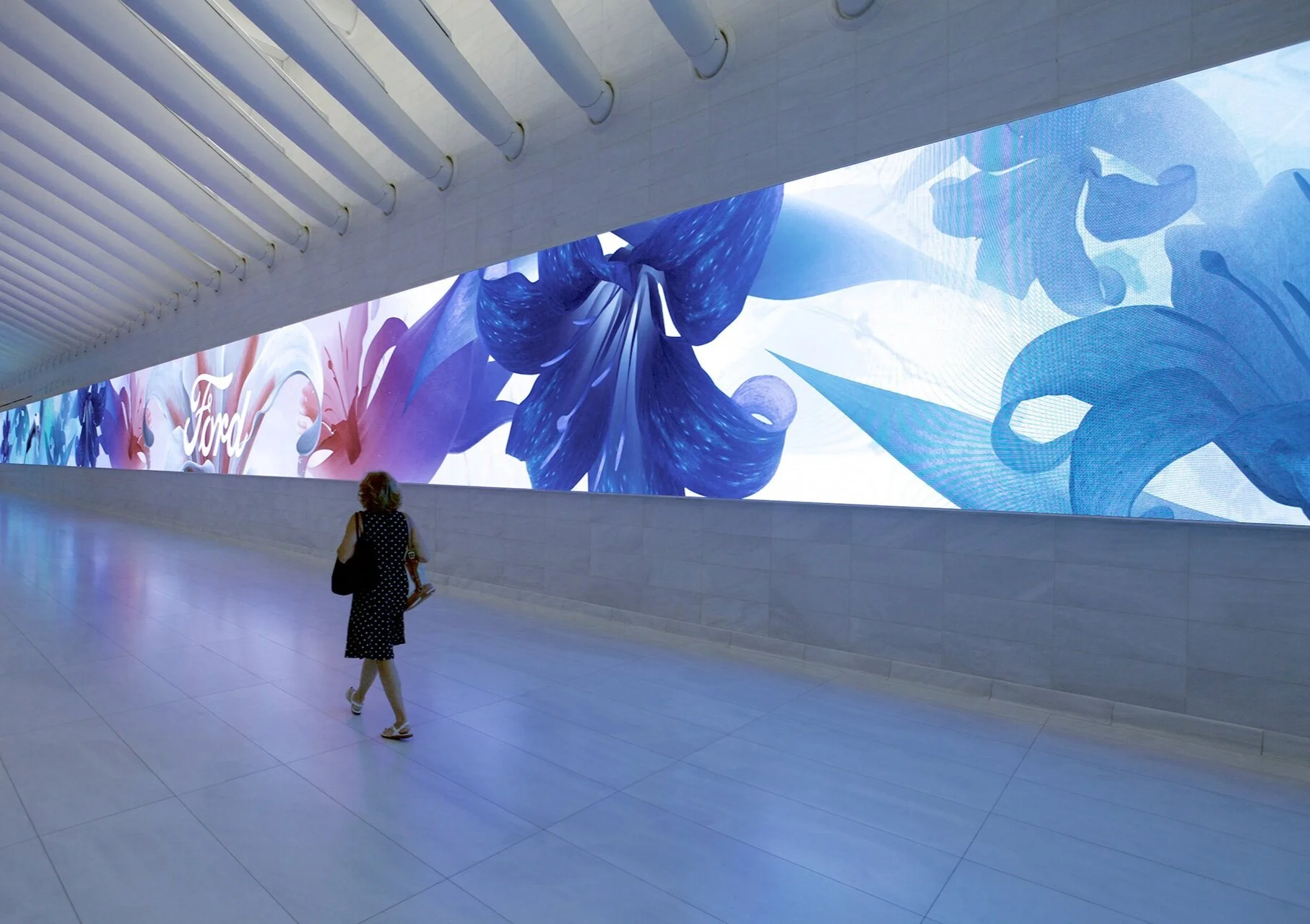 World Trade Center — Peter Alfano