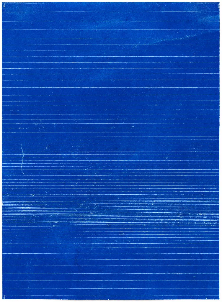 drawings — Kate Shepherd