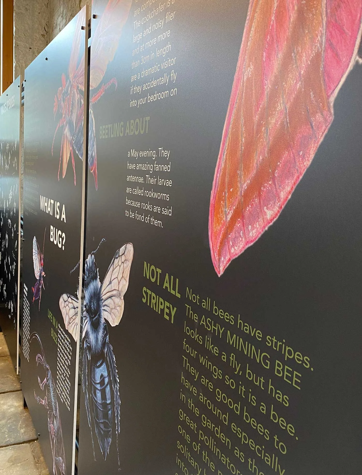 Differentia - Interpretation design and Artwork