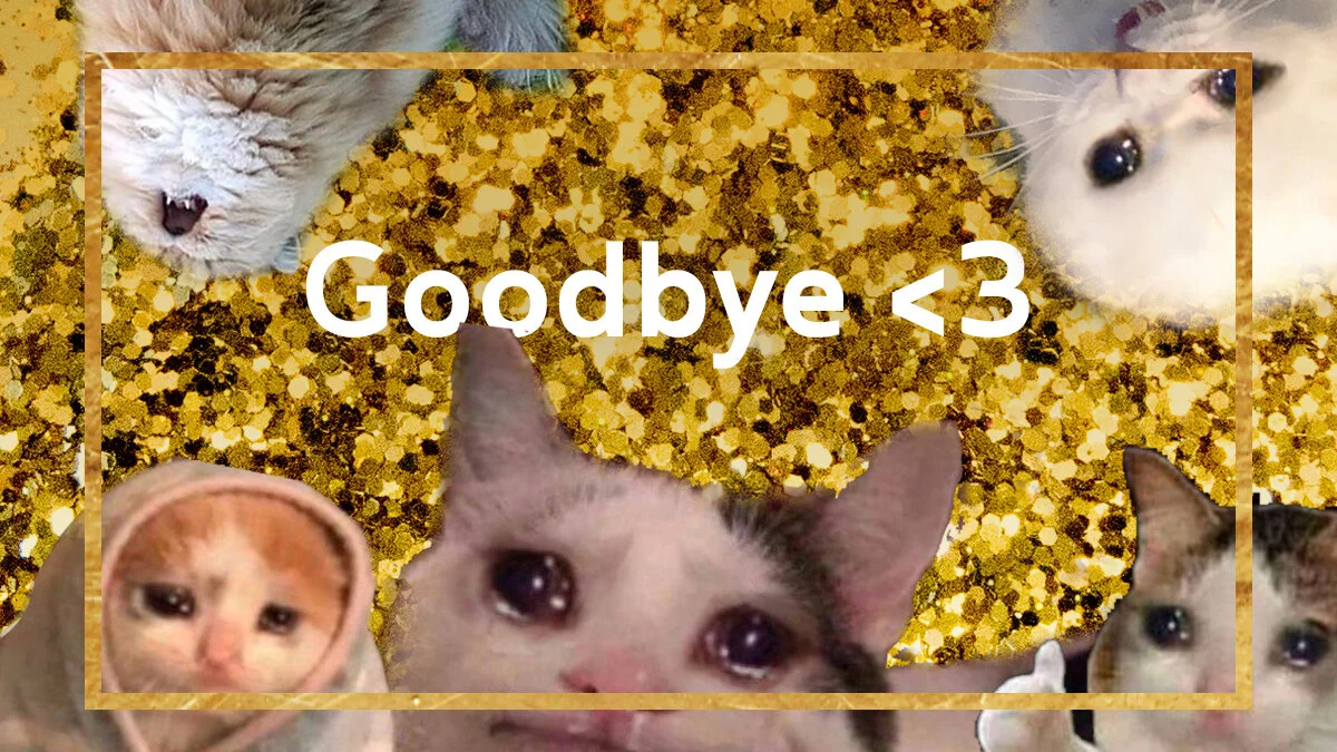 Goodbye Cat Meme