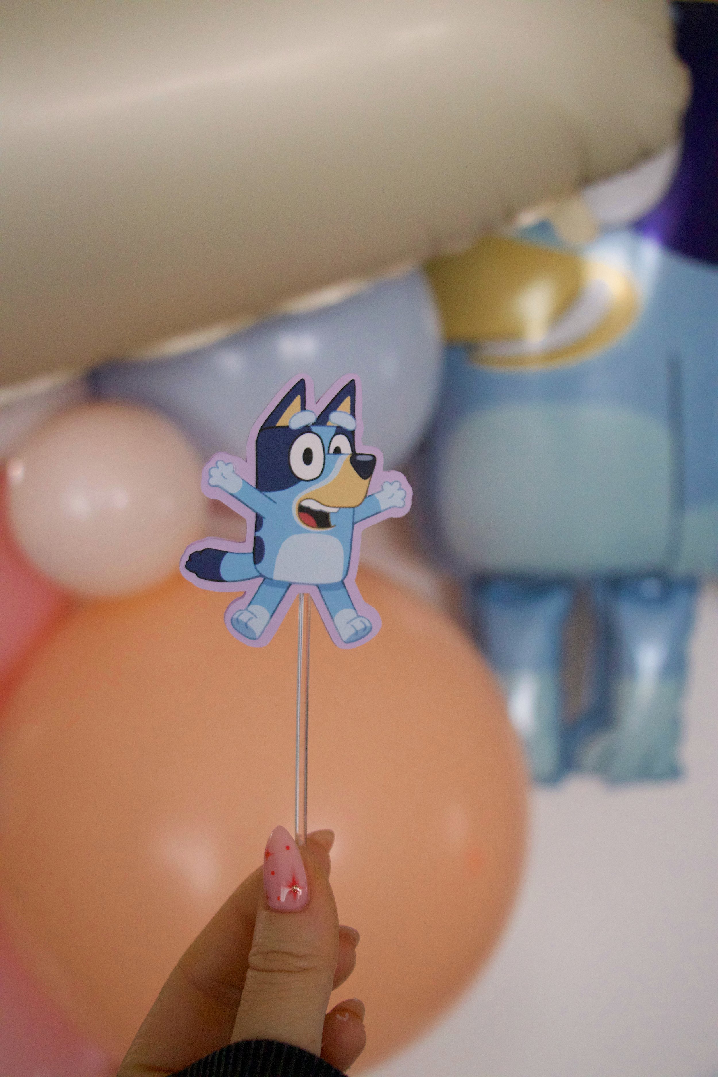 Taya Turns Two-ey (Bluey Toddler Birthday Party) — BRE SHEPPARD