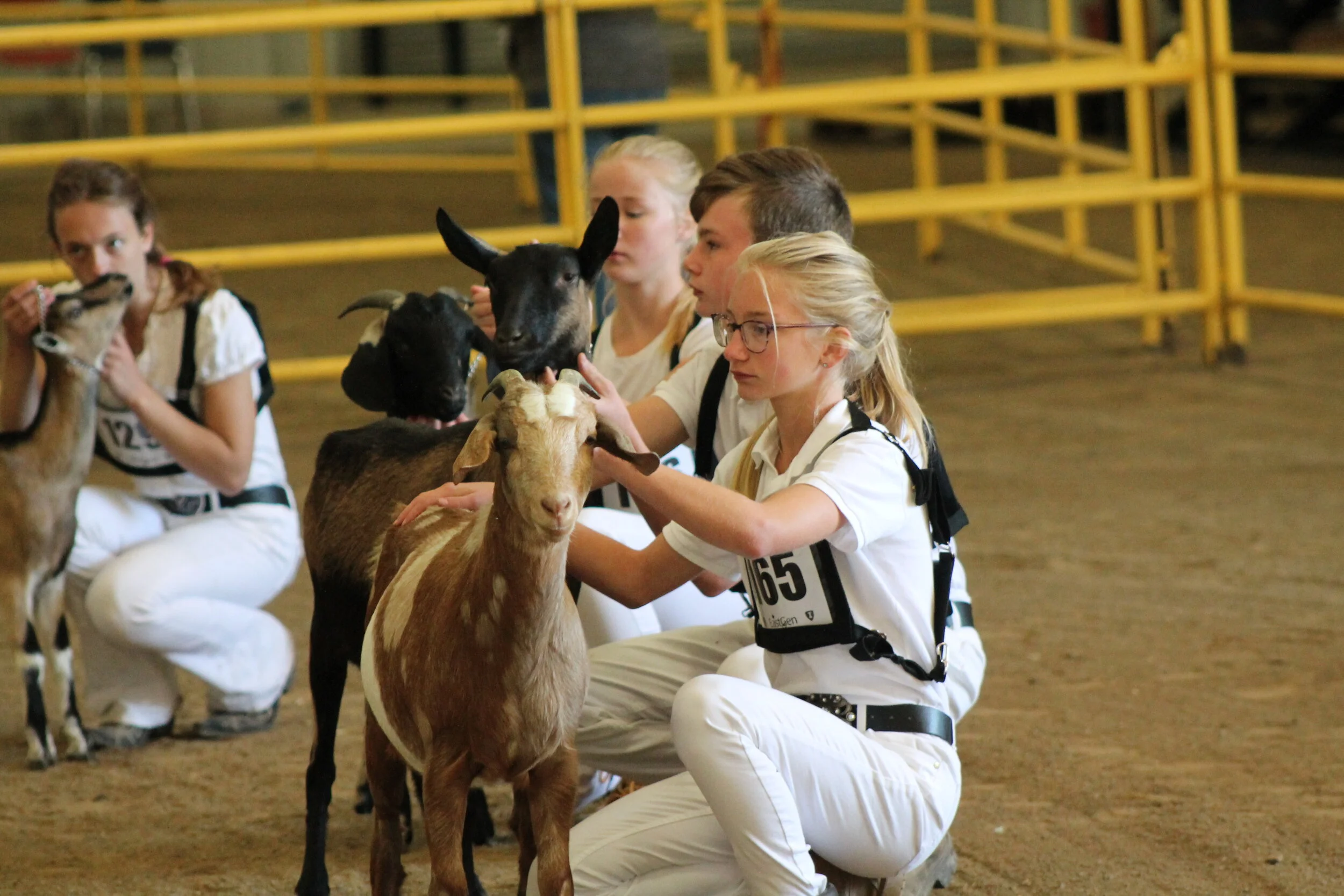 Spencerville Fair