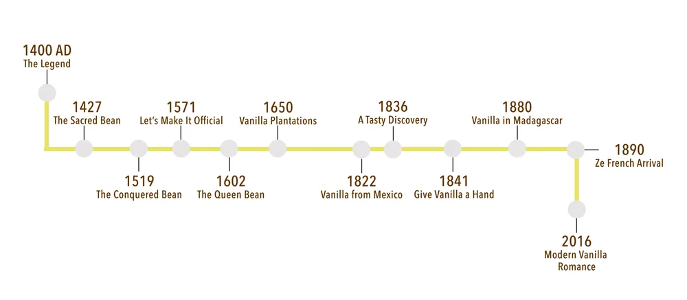 The Ultimate Vanilla Guide: History, Production, Growth & More | Brisan