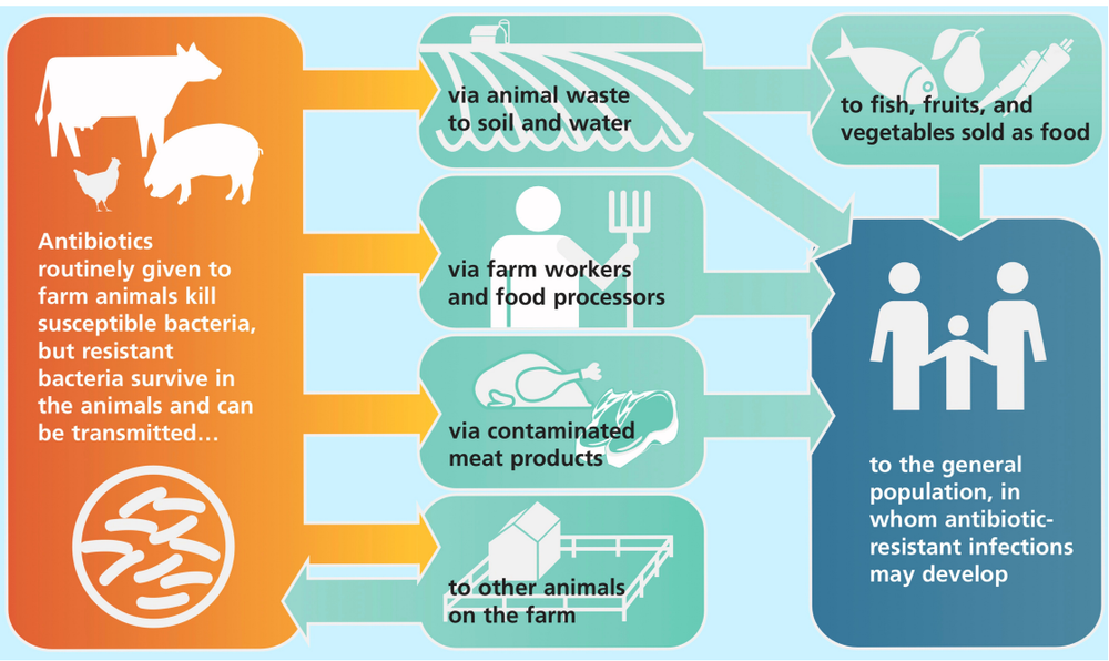 Keep Antibiotics Working