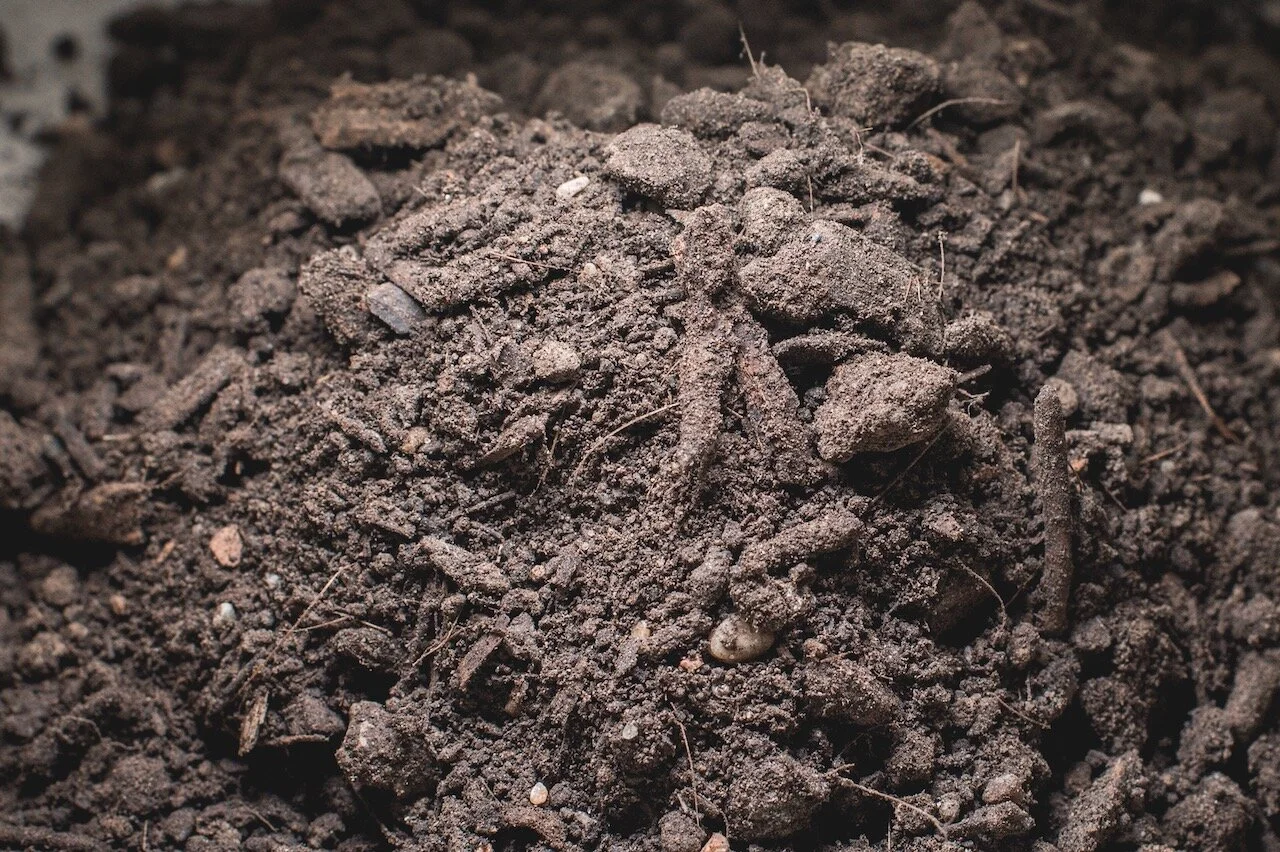 Composted Soil and Mulch from Local Schools, Restaurants and Homes ...