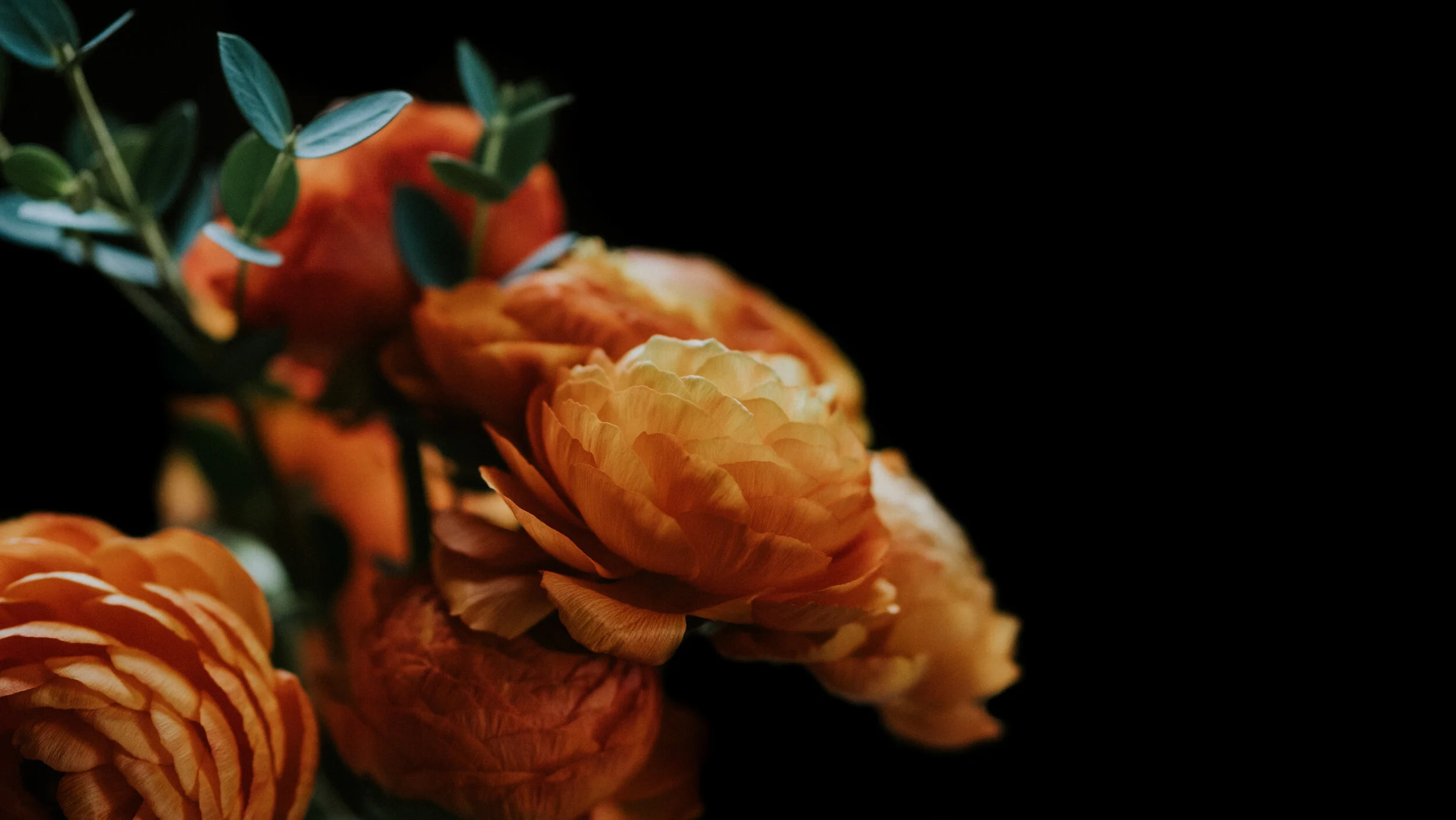 A Blog About Flowers