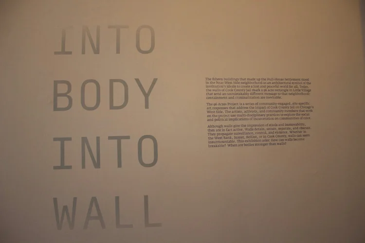 Maria Gaspar, Into Body Into Wall — Jane Addams Hull-House Museum