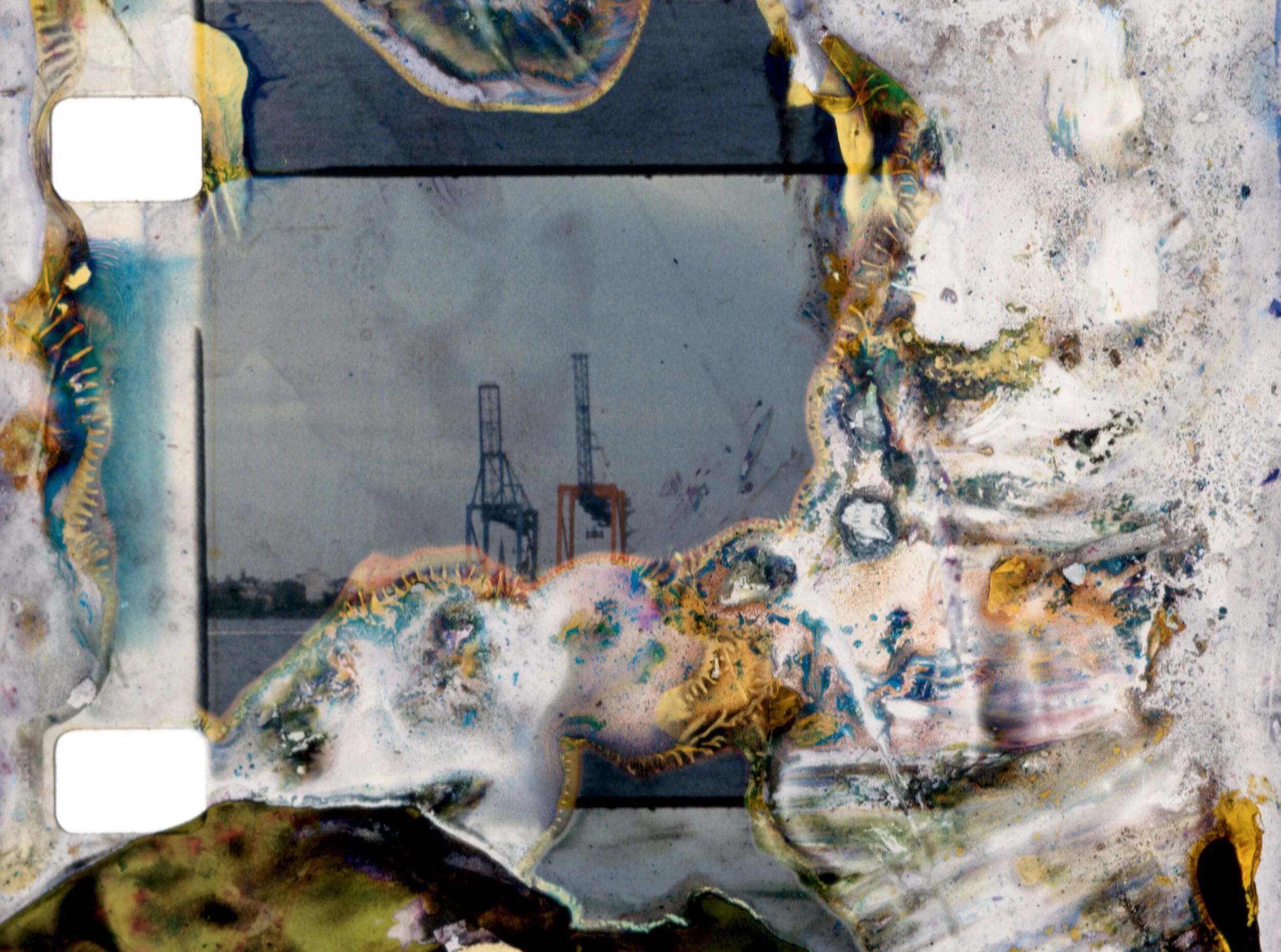 Elizabeth M. Webb — Fountainhead