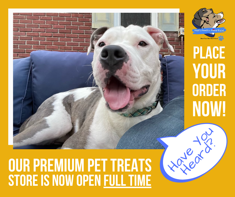 Adopt a Homeless Animal Rescue