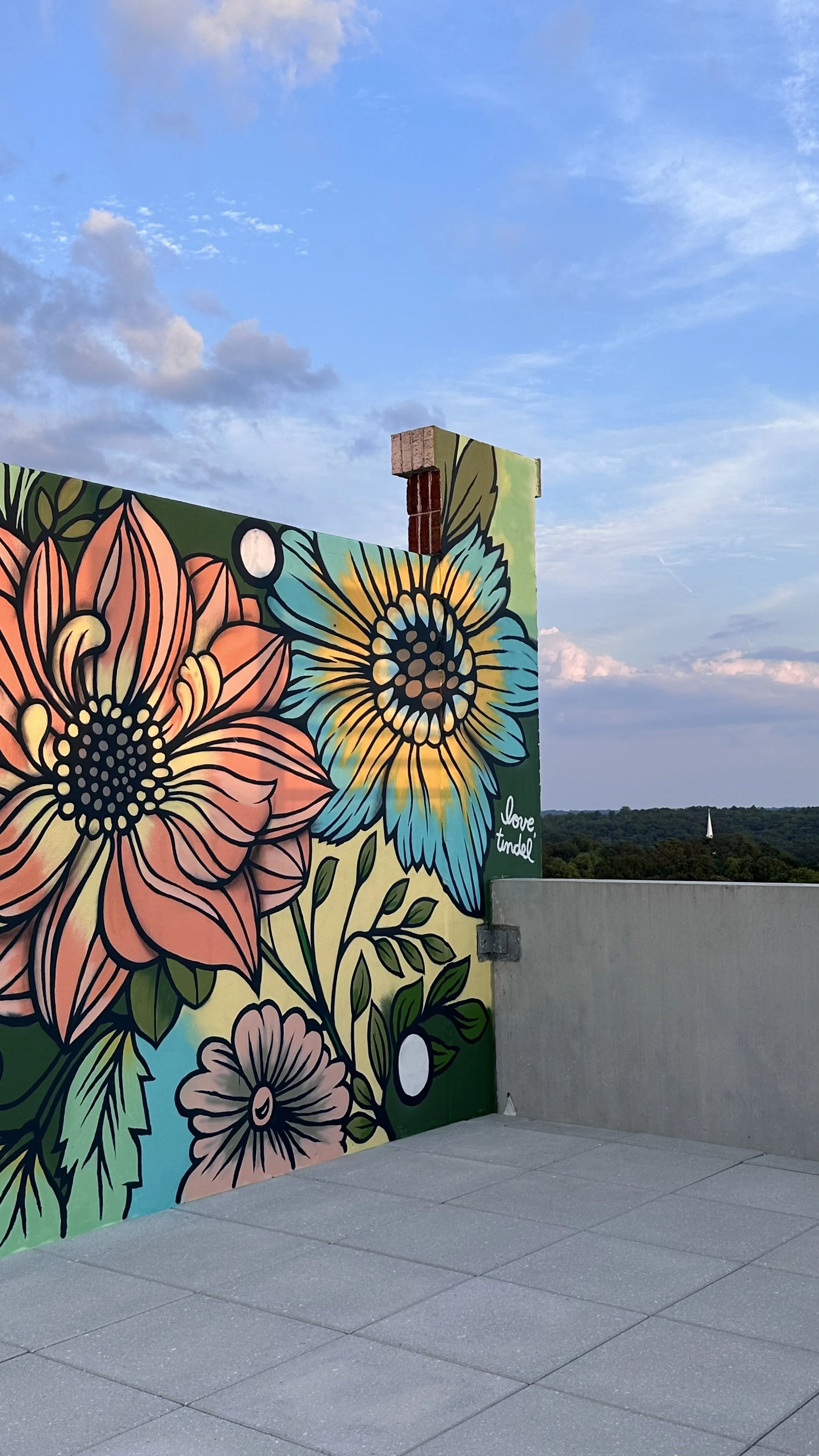 Current Projects + Portfolio — Amy Parry Projects