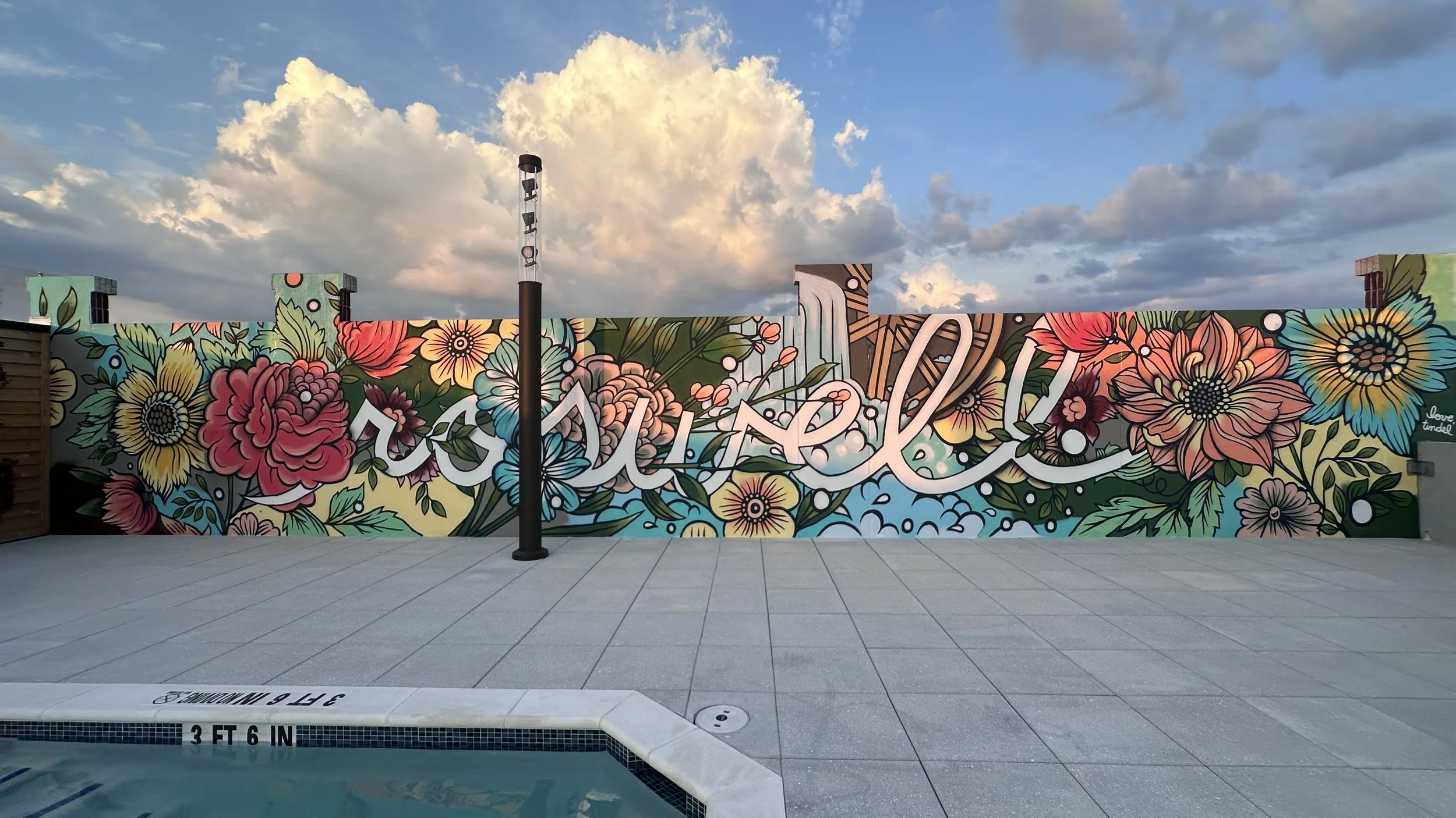 Current Projects + Portfolio — Amy Parry Projects