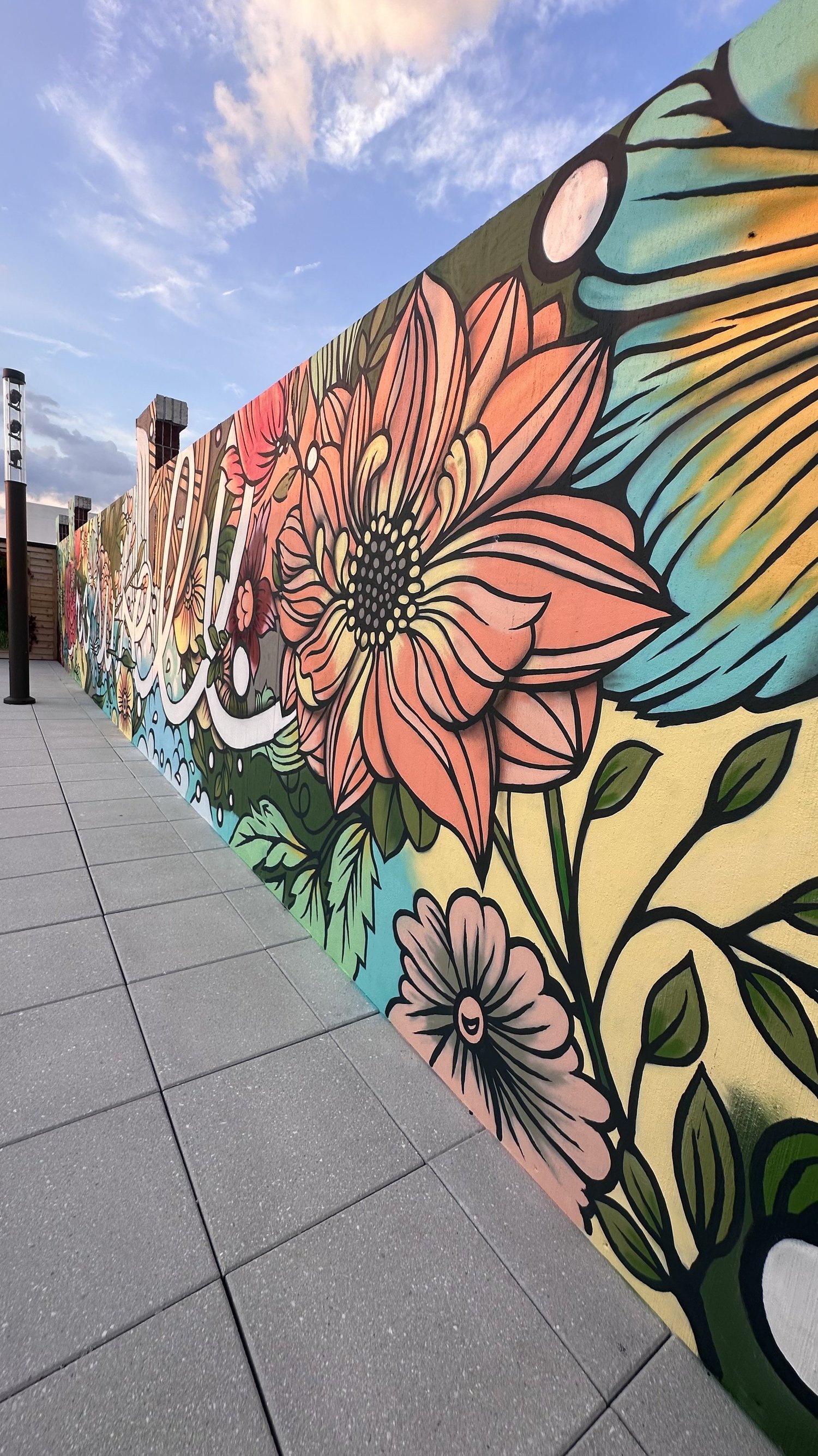 Current Projects + Portfolio — Amy Parry Projects