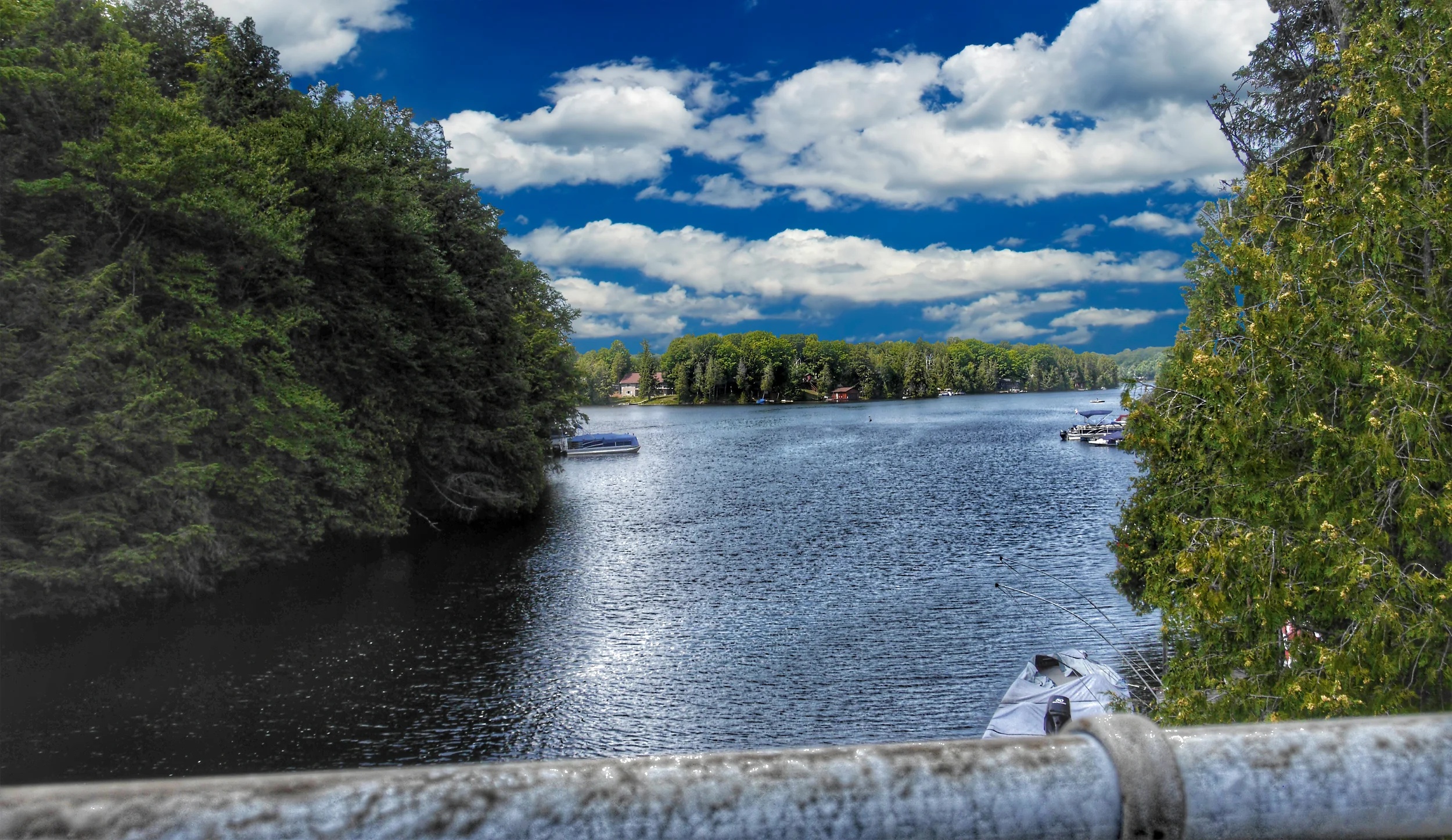 Paudash Lake: Views from the Sky — The Sharon White Team
