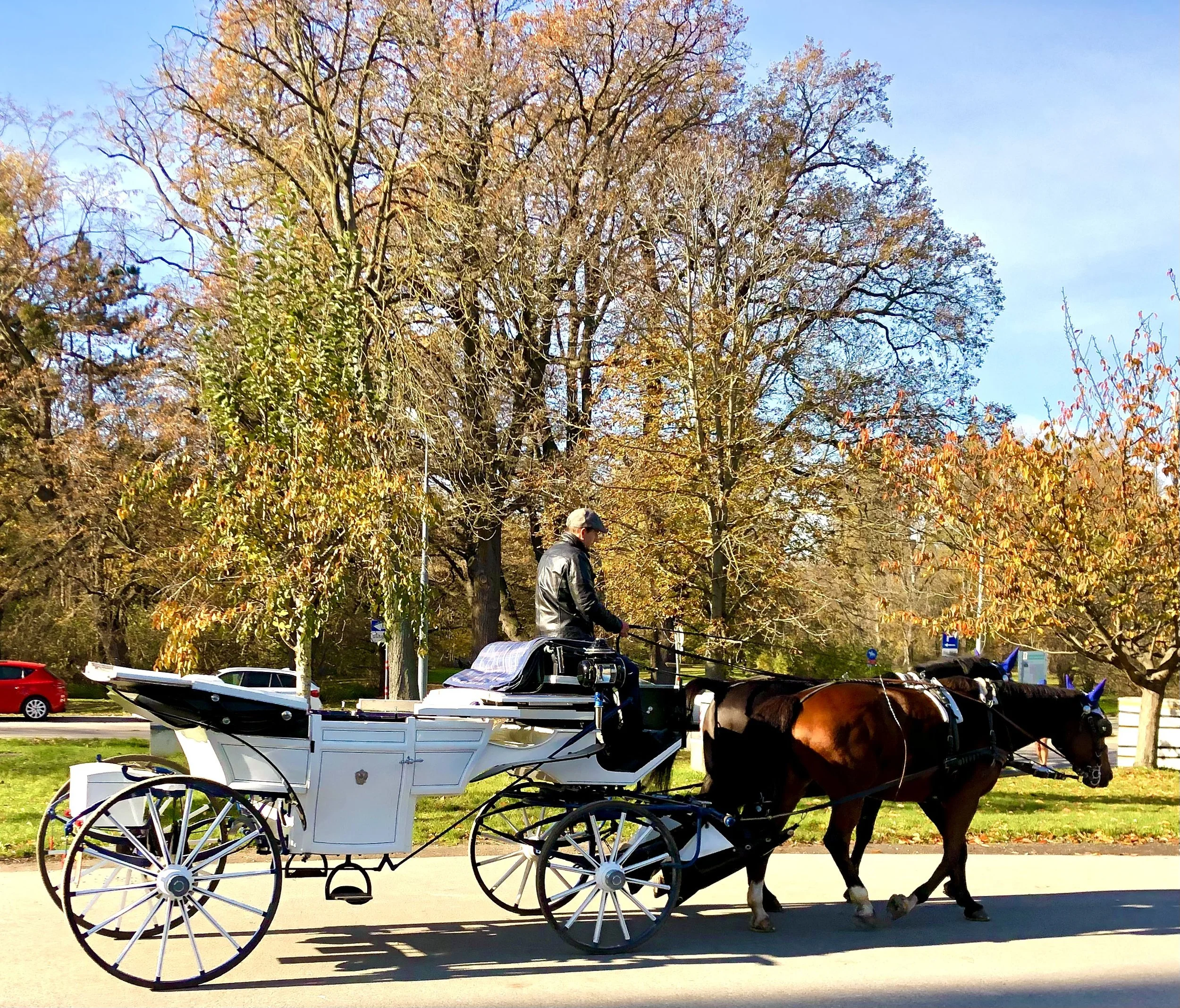 Schönbergers Caffè Bar: Bohnen, ESE-Pads und Coffee2Go