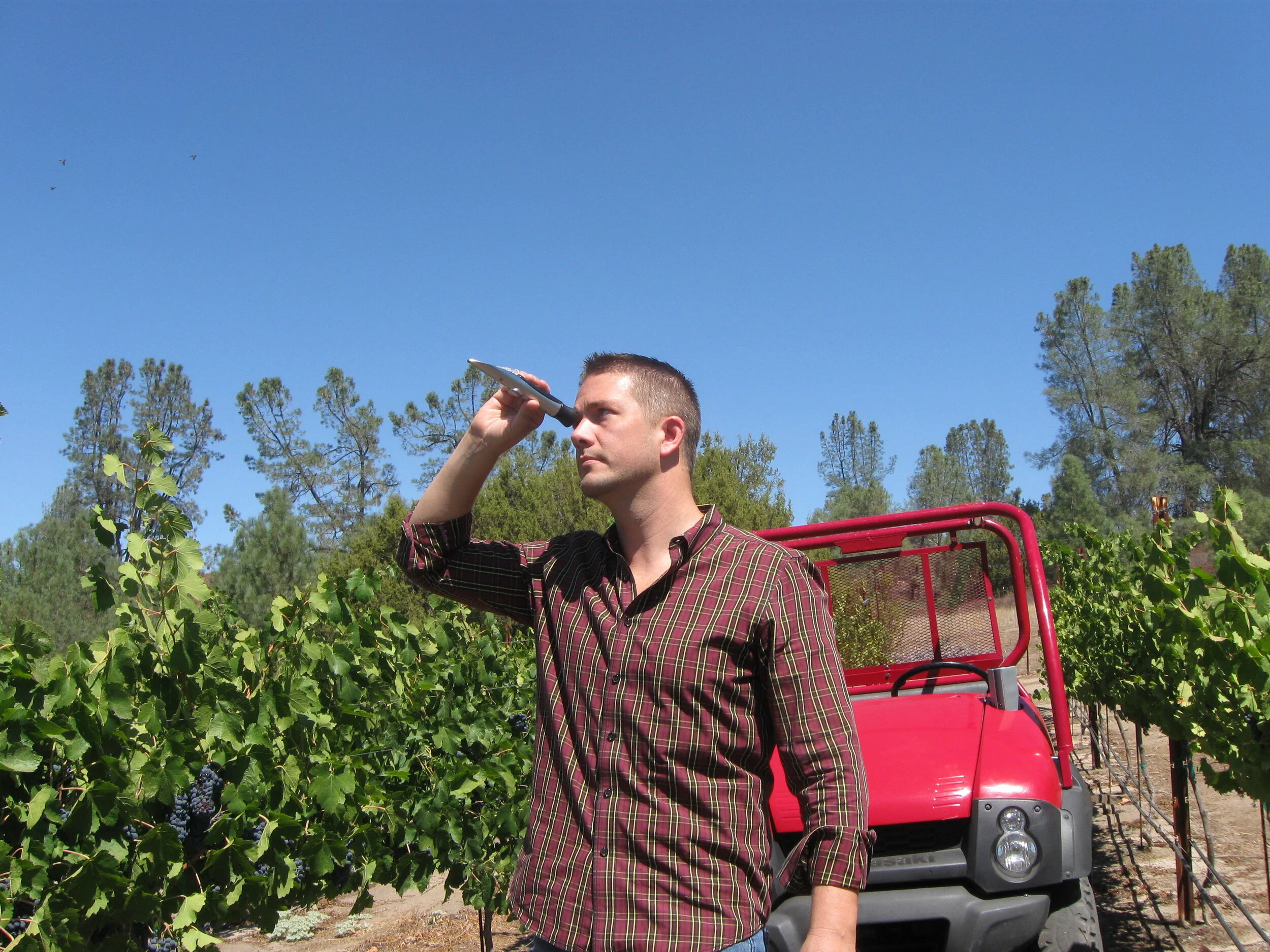 Gallery — Shadow Run Vineyards & Winery