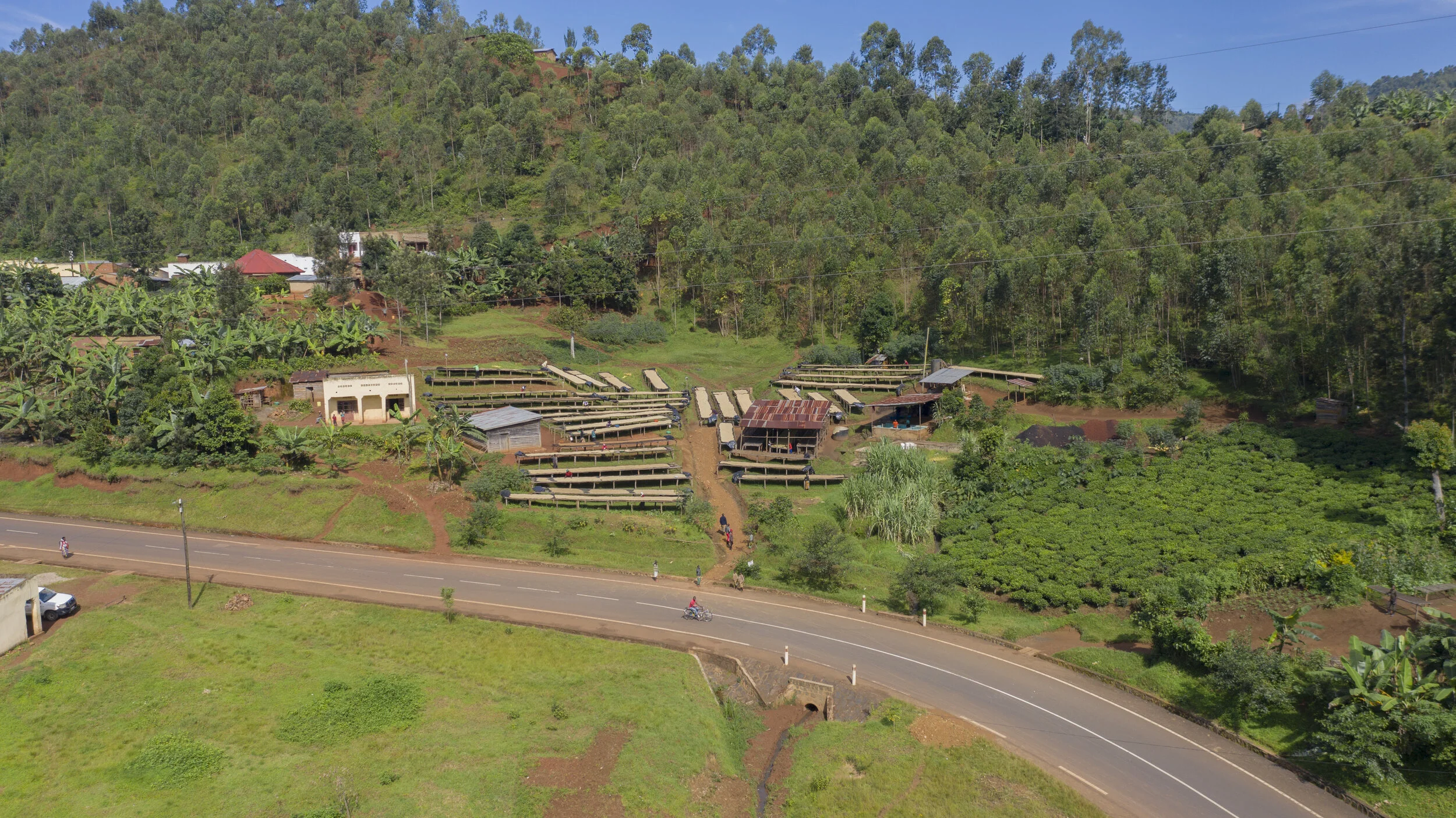 Our Coffees — drumroaster coffee