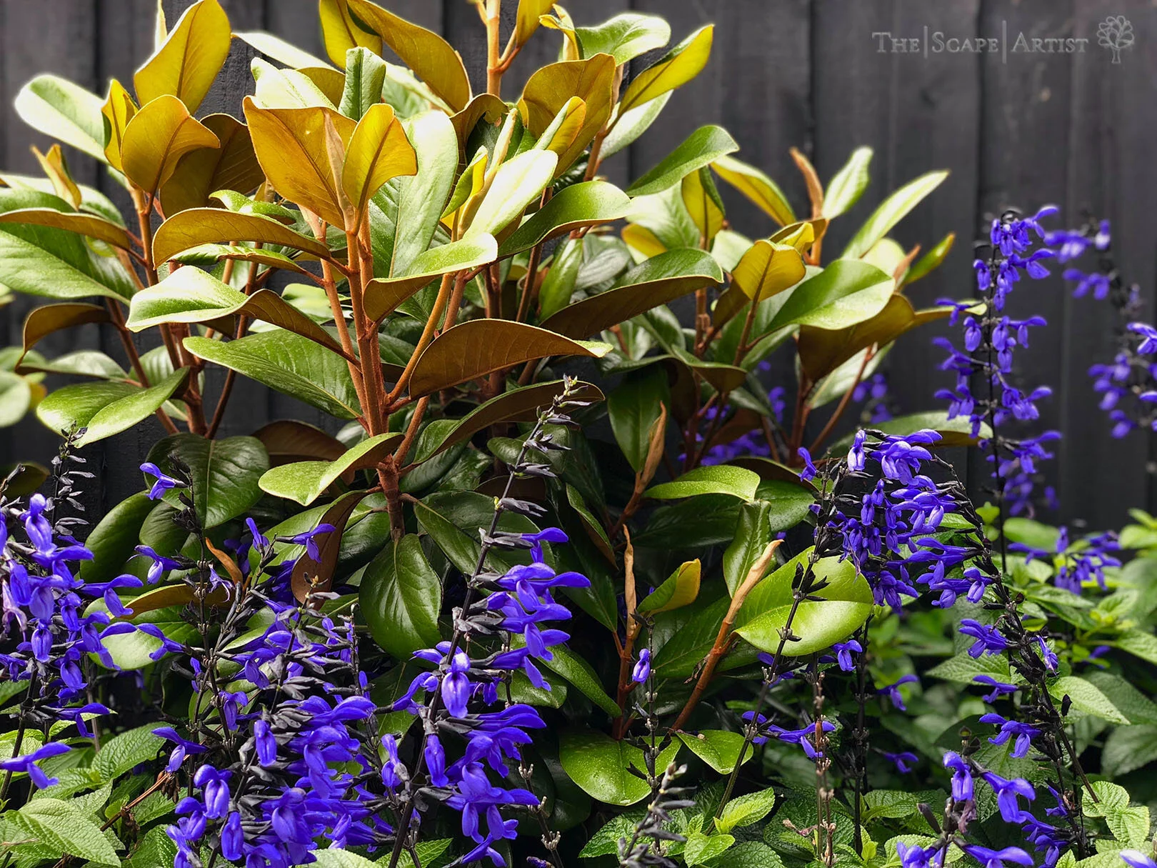 Construction — The Scape Artist