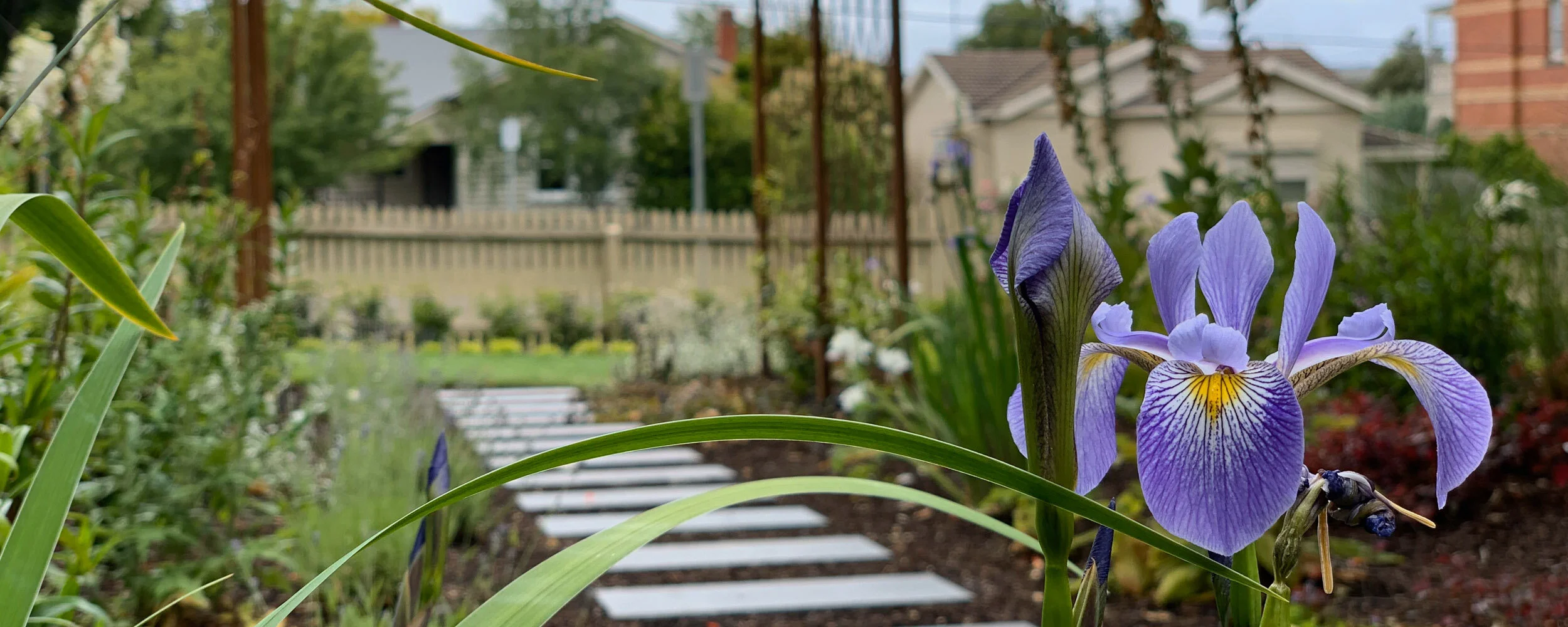 Construction — The Scape Artist