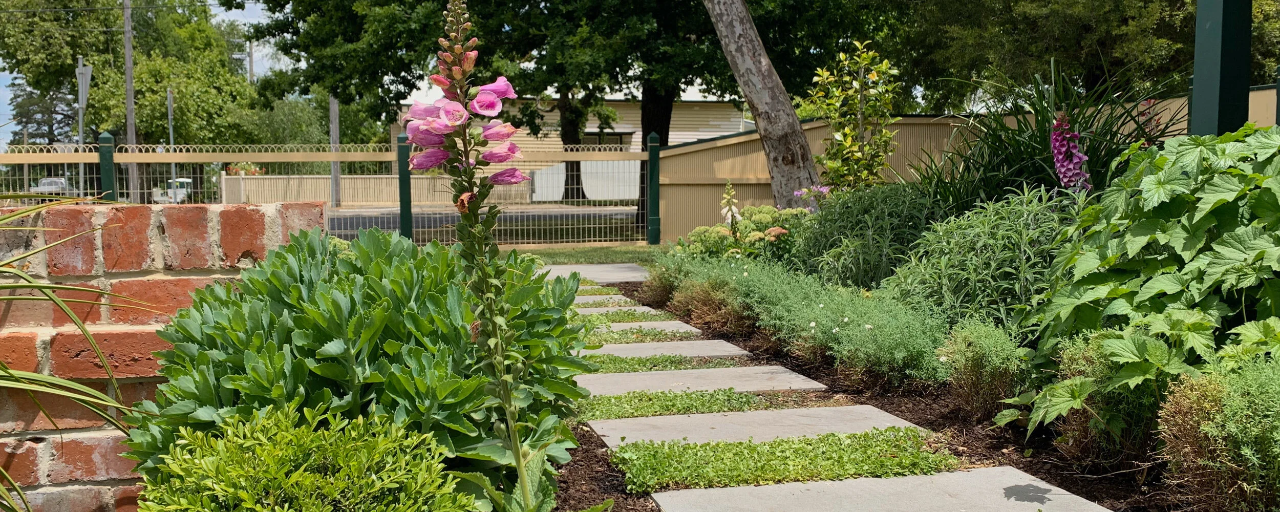 Design — The Scape Artist