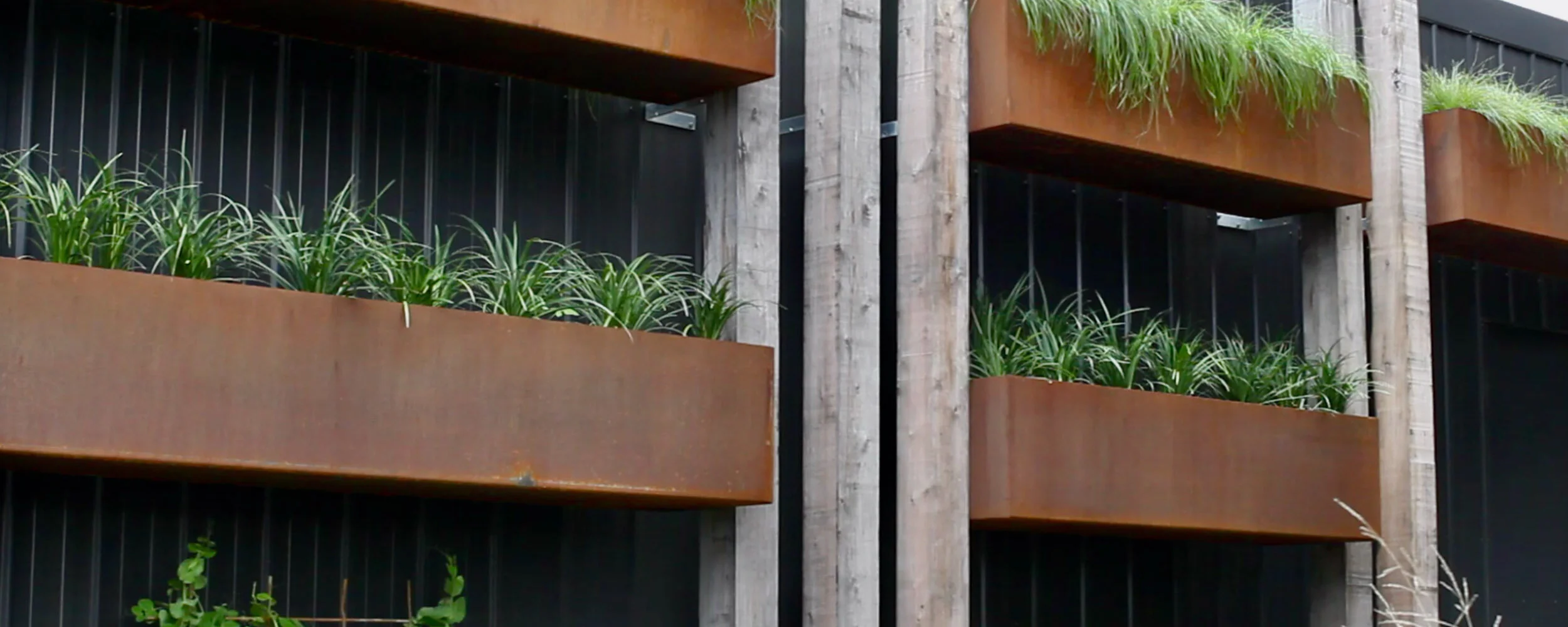 Testimonials — The Scape Artist