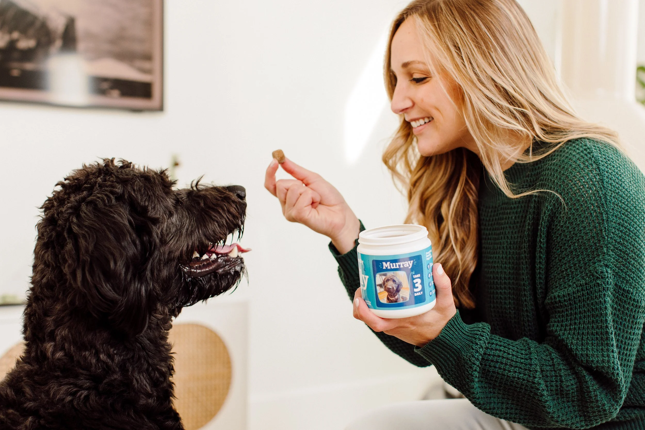 Copywriting, Email Marketing, Voice Acting | Omaha, Nebraska — Jocelyn ...