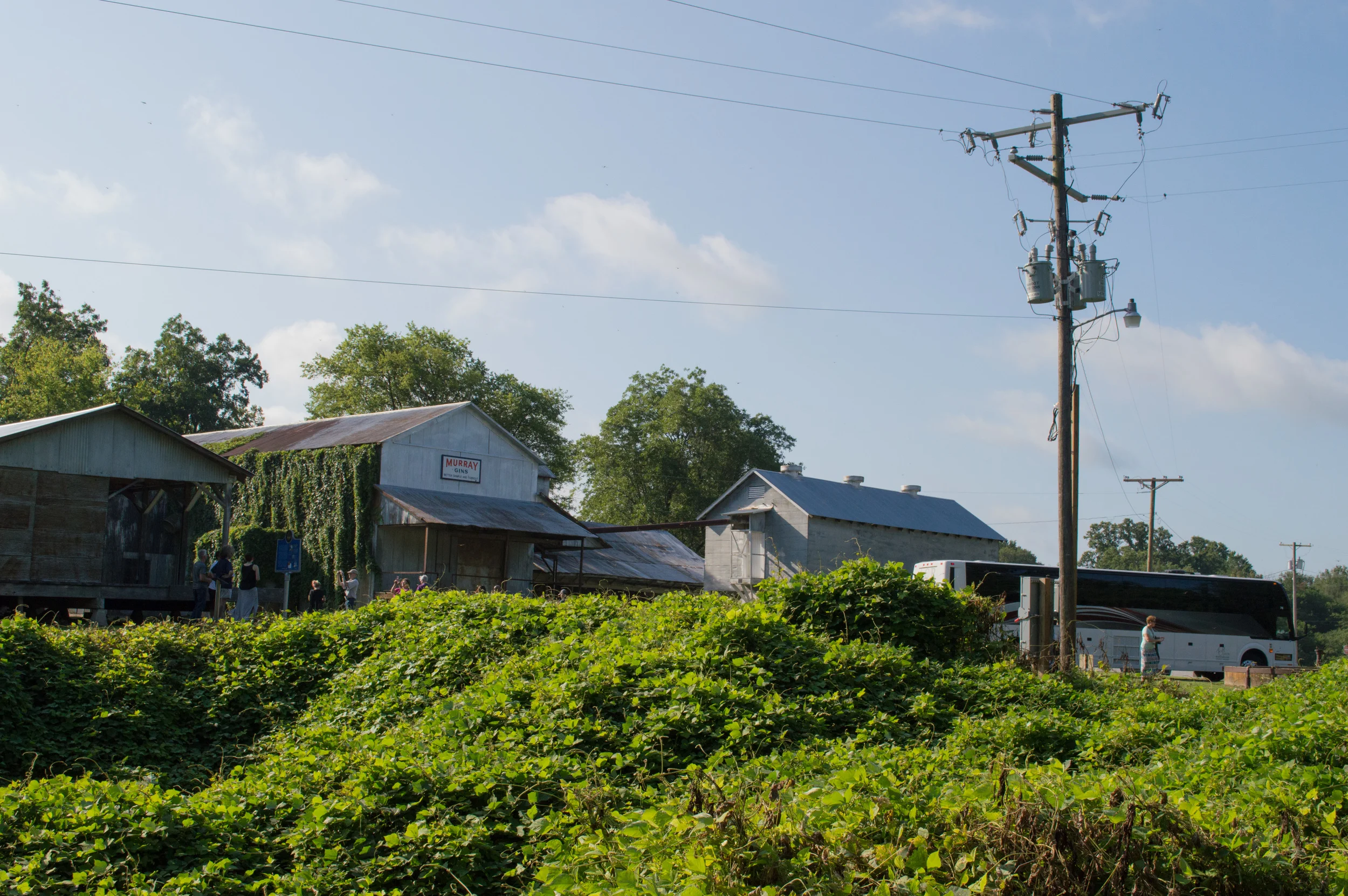 NEH "Most Southern Place" Workshop July Session: Day 3 — The Delta Center