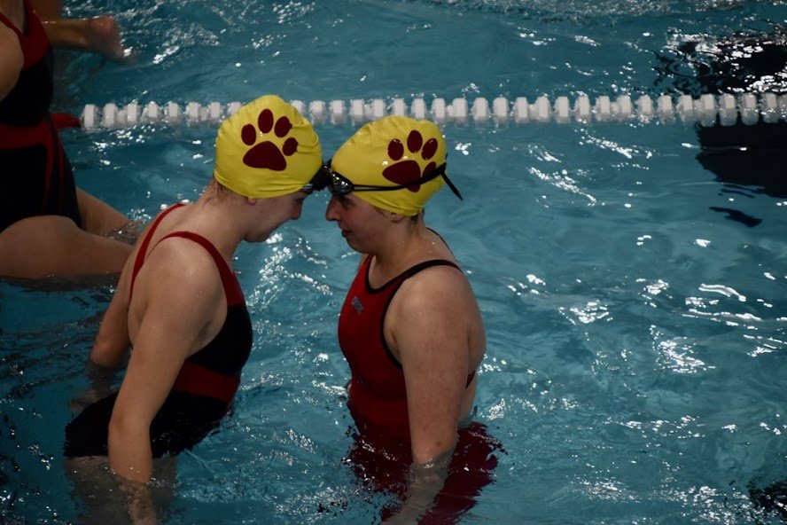 A Small Start with A Big Finish — Little Fins Swim School