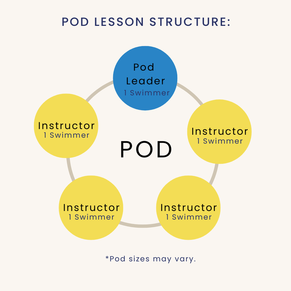 Pod Lessons — Little Fins Swim School