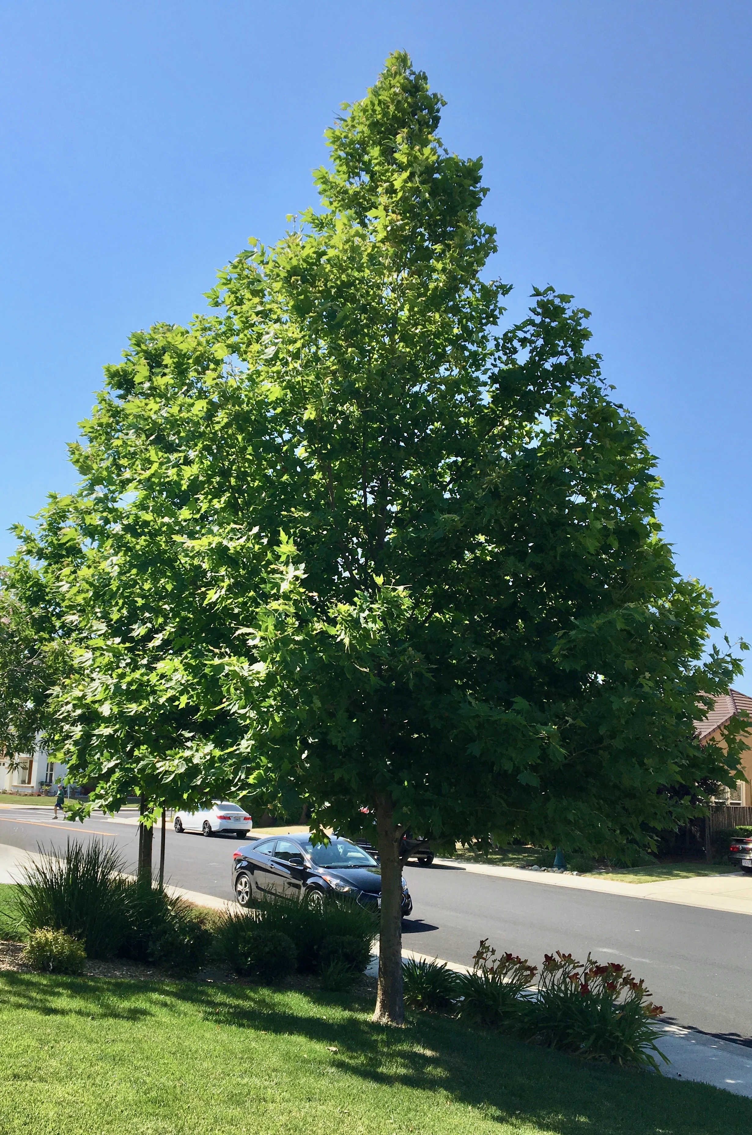 Moving Is Filled With Goodbyes — Radiant Nursing