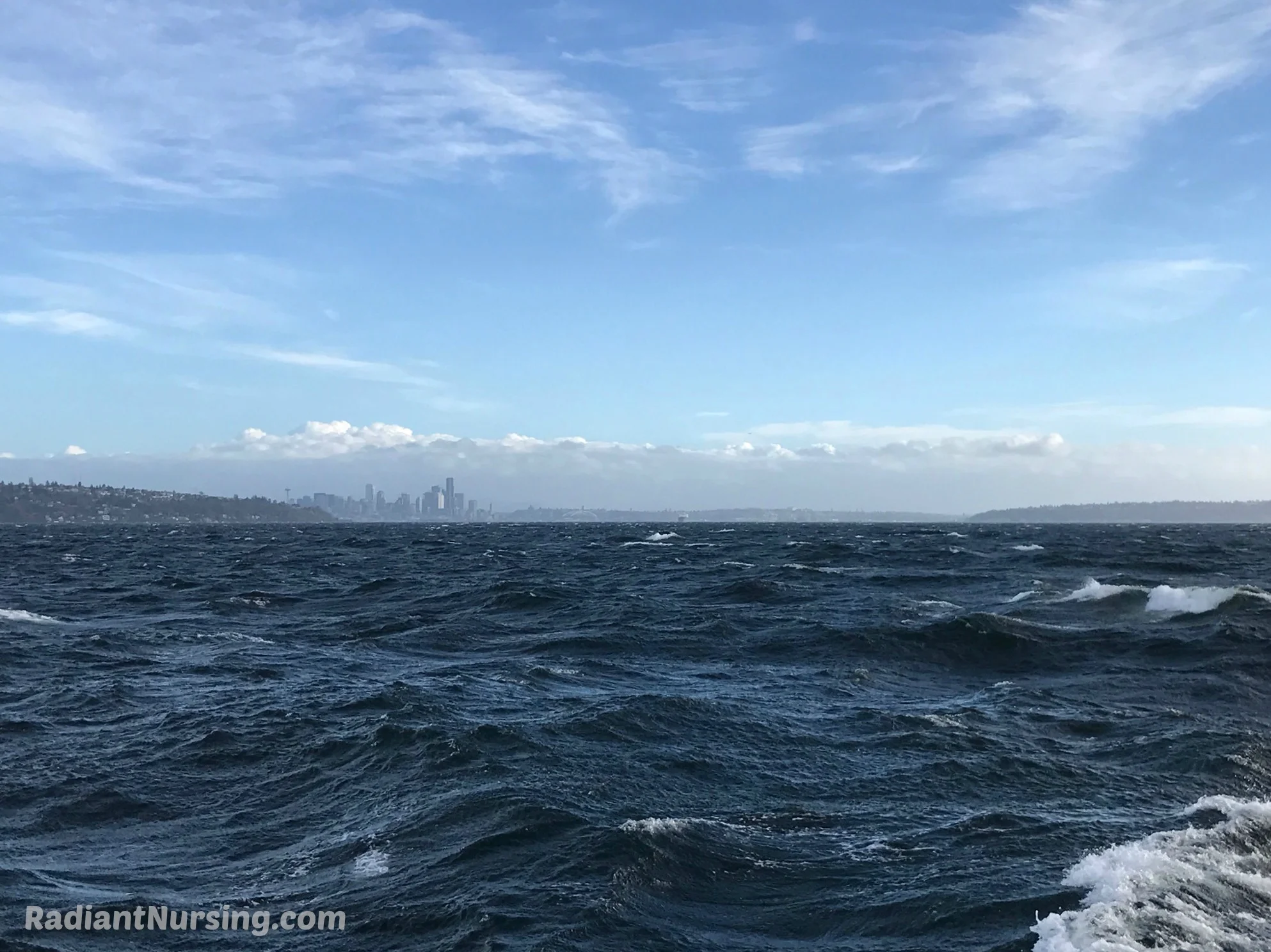 Seattle And Puget Sound — Radiant Nursing