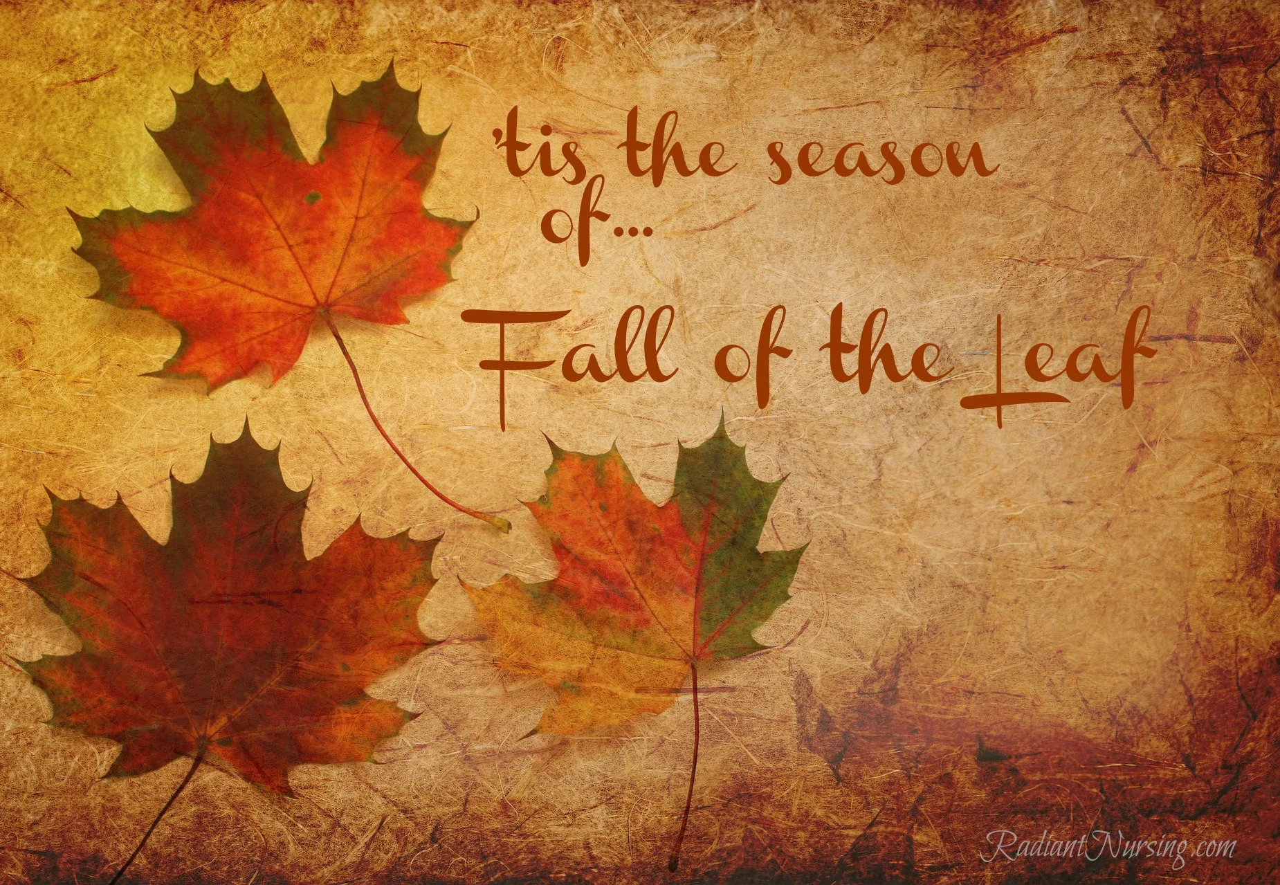 Seasons And Their Names — Radiant Nursing