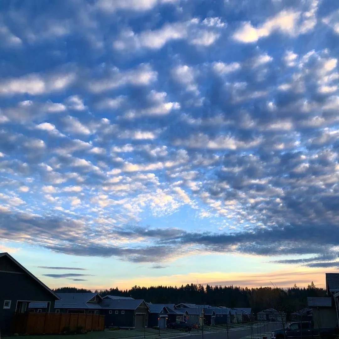 Words — Radiant Nursing