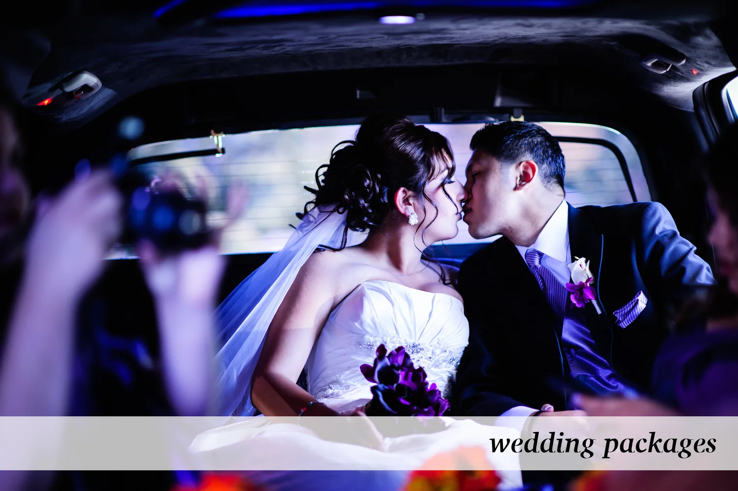 wedding prices — Whitney Lewis Photography - Utah Photographer