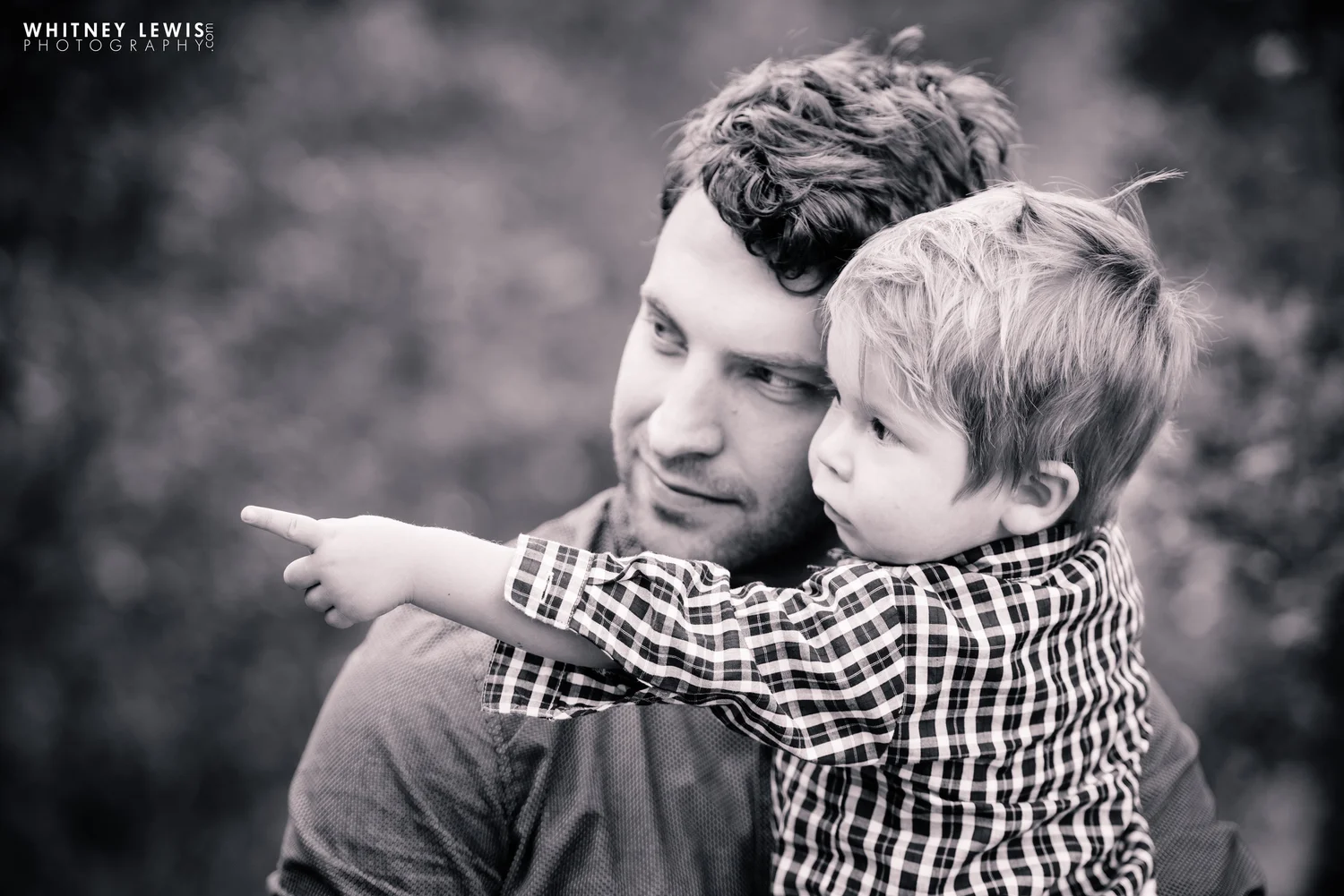 Blog — Whitney Lewis Photography - Utah Photographer