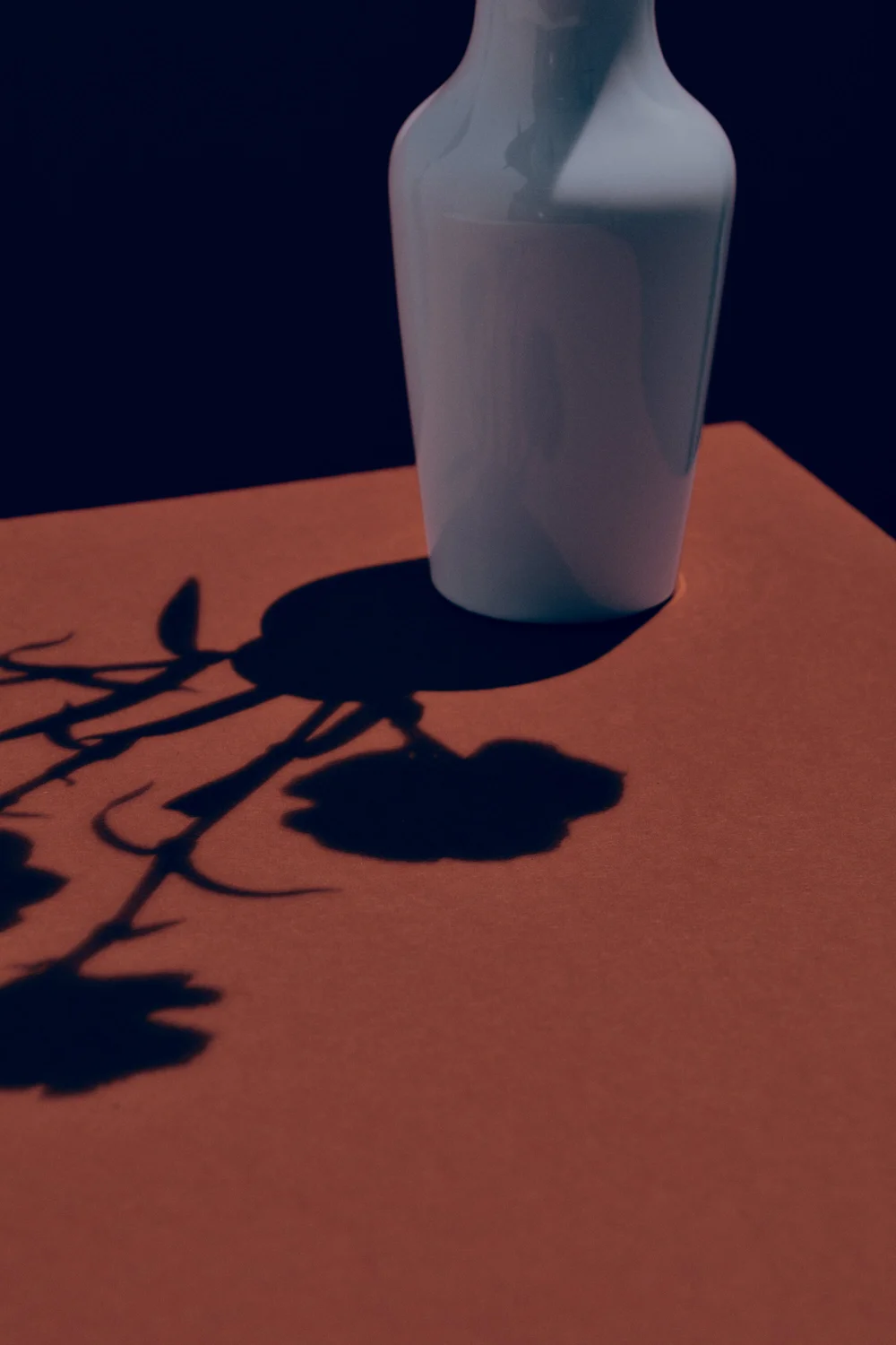 thomas van schaik photography — Shadow Flowers | stillife, interior and ...