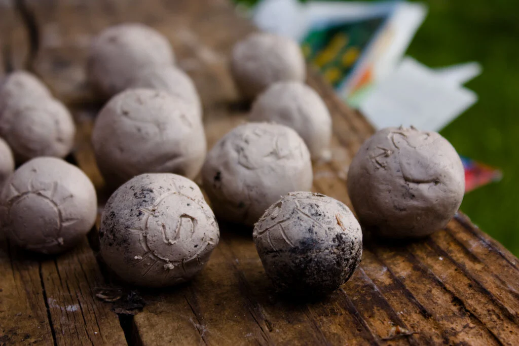 How-To: Make Your Own Seed Bombs — Community Workshop