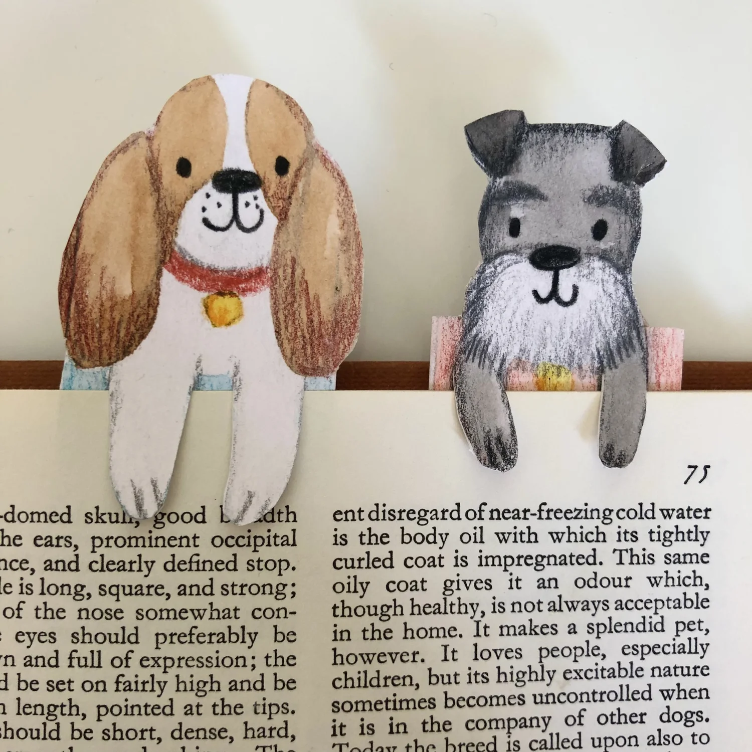Blog — Vicki Gausden Illustrator