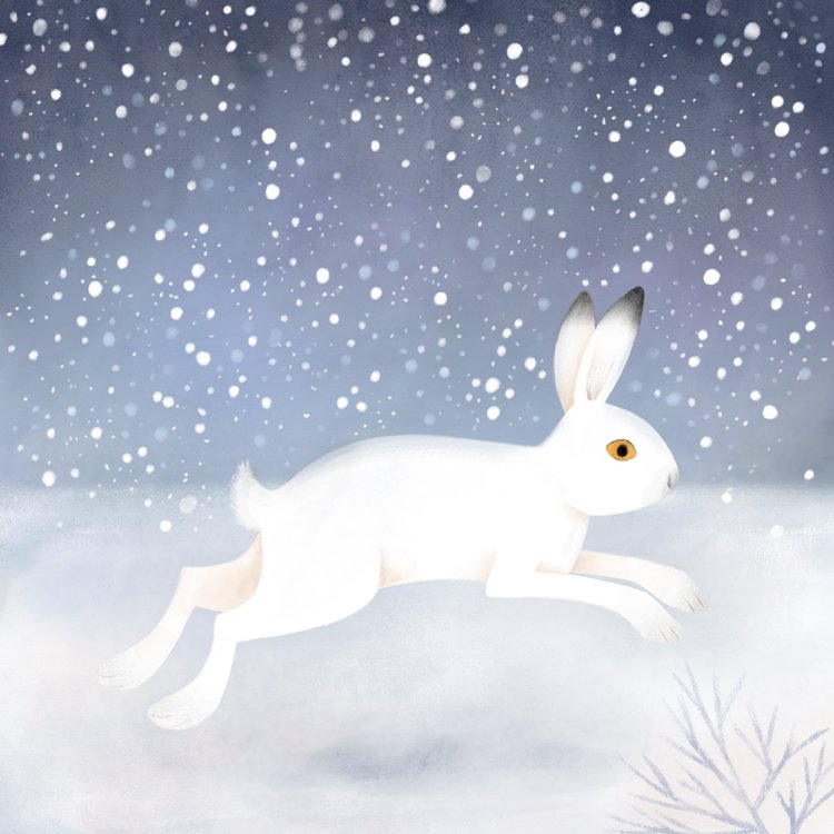 Blog — Vicki Gausden Illustrator