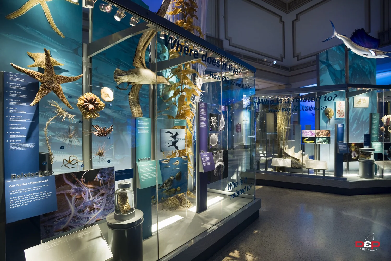 Ocean Interior Design