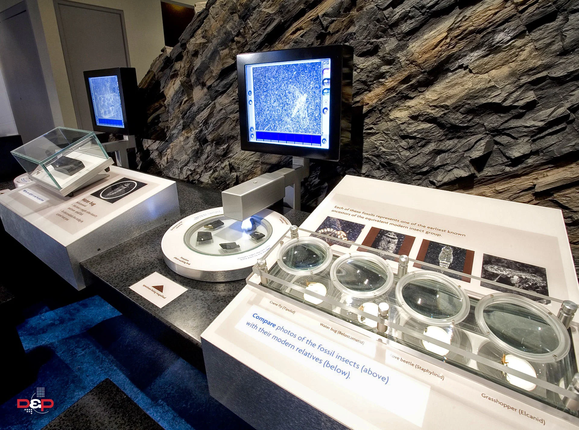 Virginia Museum of Natural History — Design and Production Incorporated