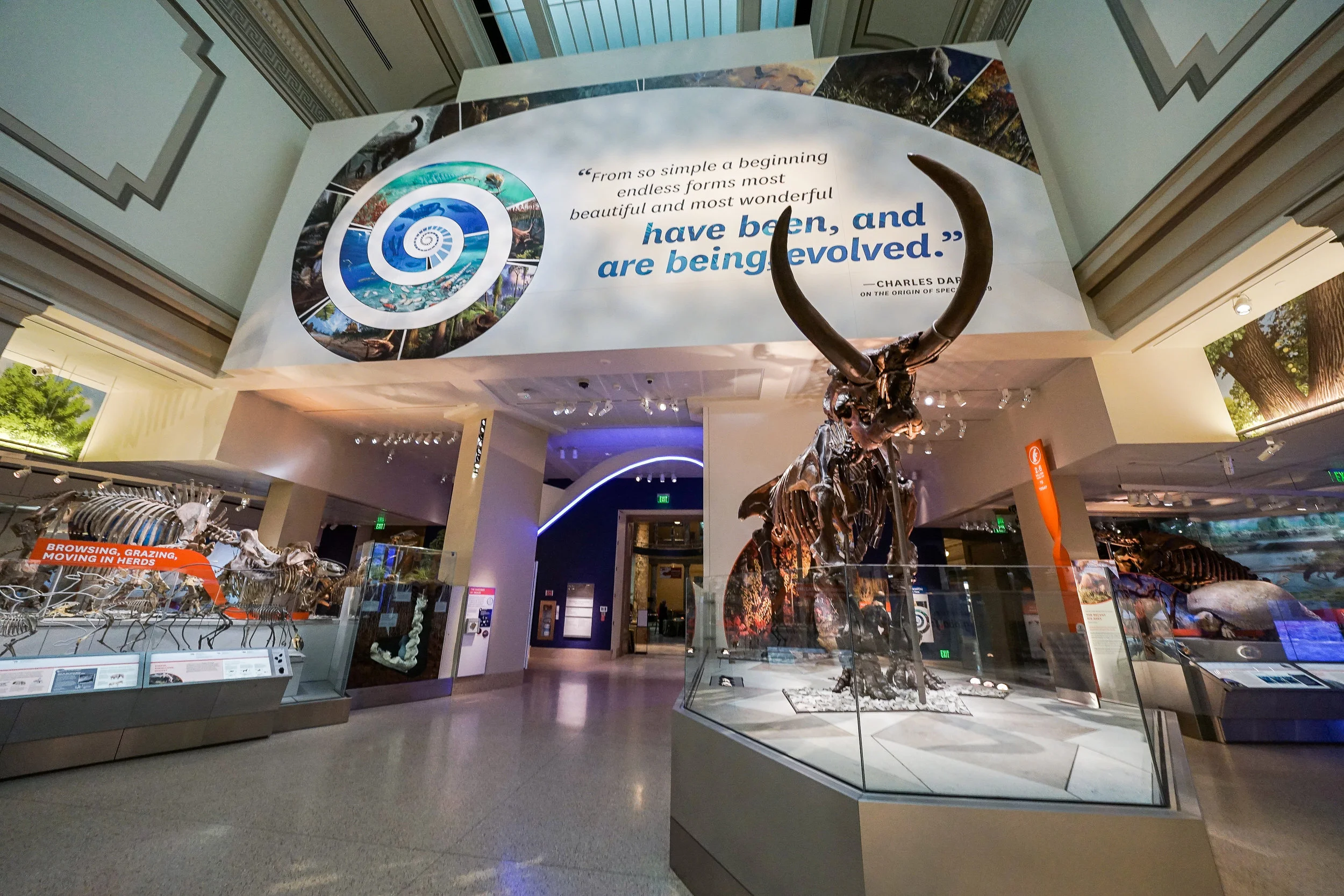 New Dino Hall “Deep Time” Opens at the Smithsonian’s National Museum of ...